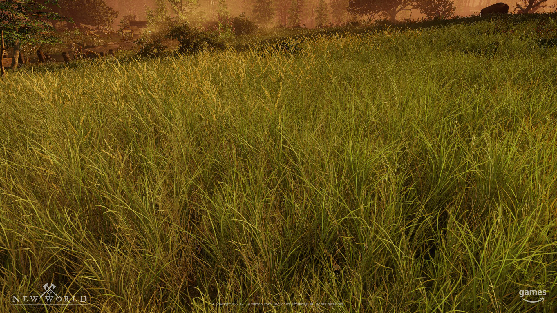 Jonathan Oakes - New World - Foliage and Nature