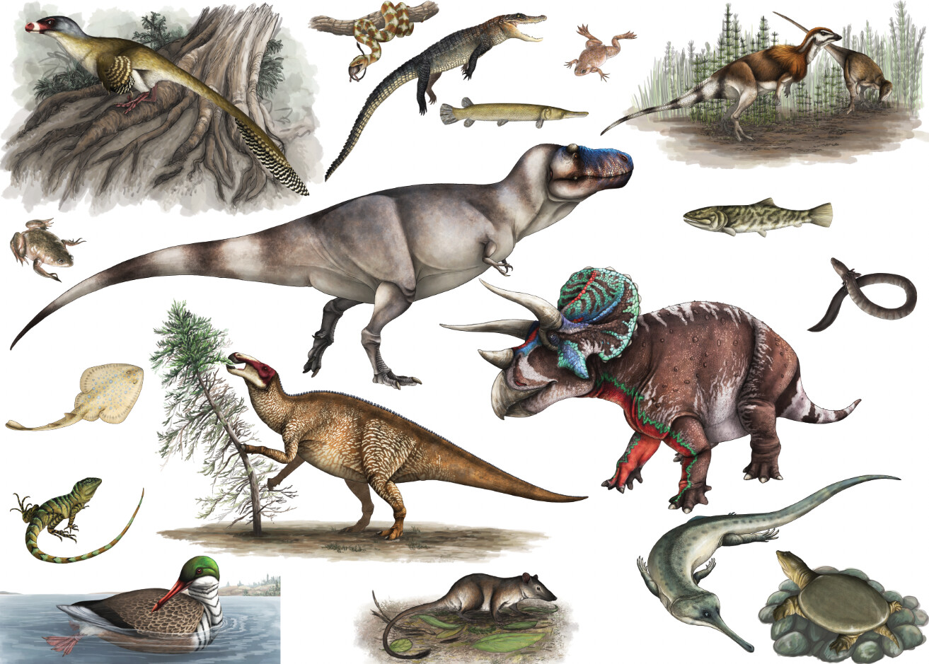 Cretaceous Animals