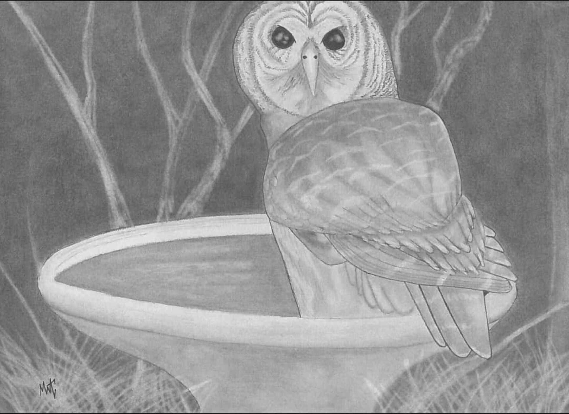 ArtStation - Owl - Realism 9x12" Graphite