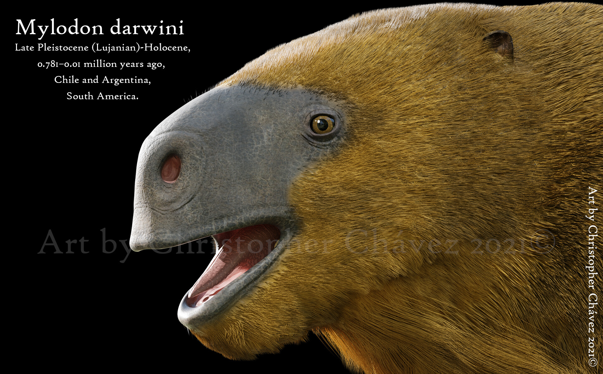 ArtStation - Mylodon darwini