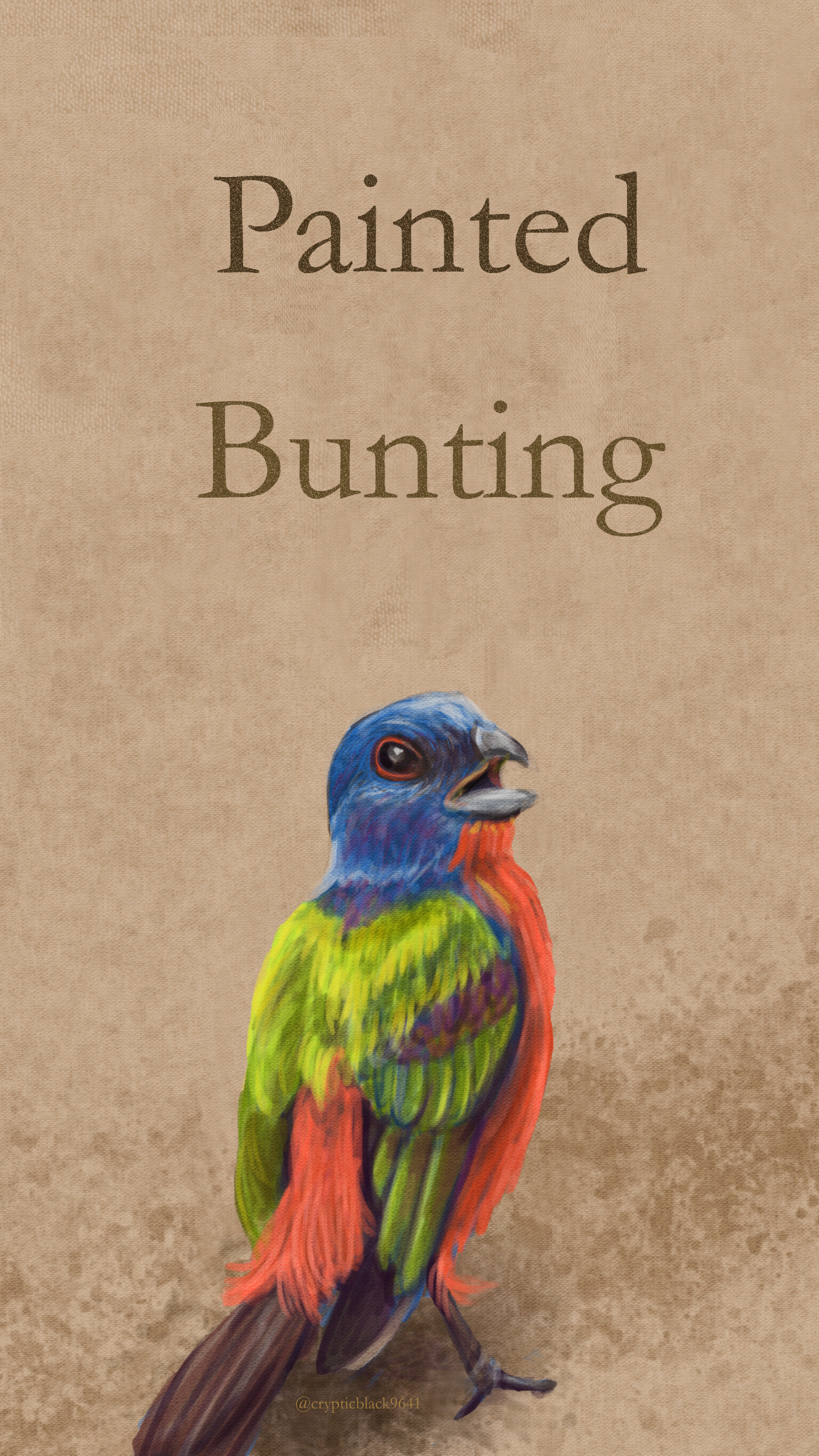 ArtStation - Bird of the Month - September 2021