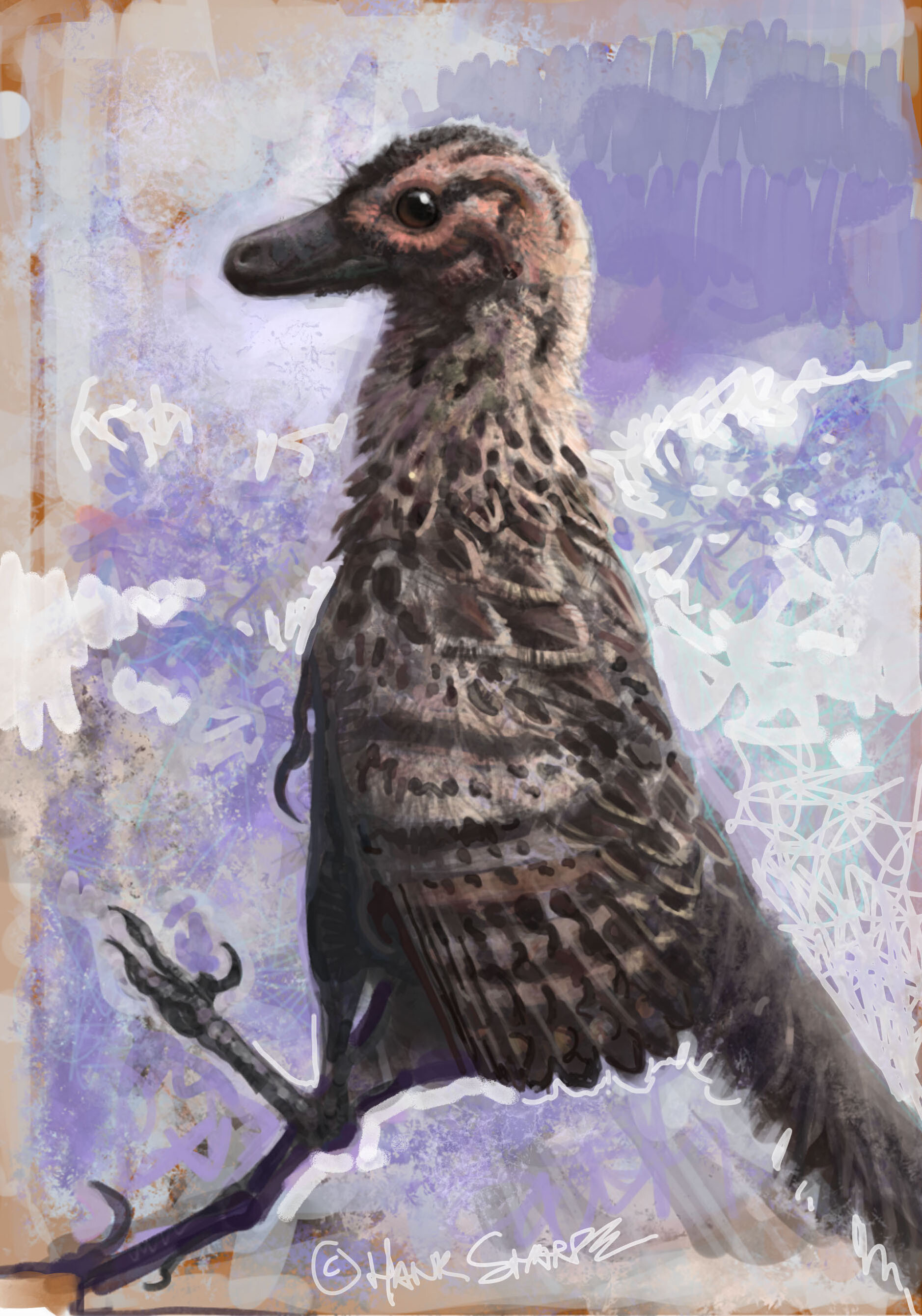 ArtStation - Sinornithosaurus