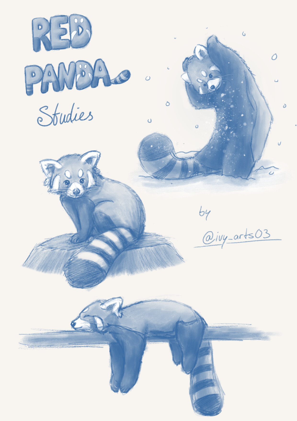 ArtStation - Red Panda Studies