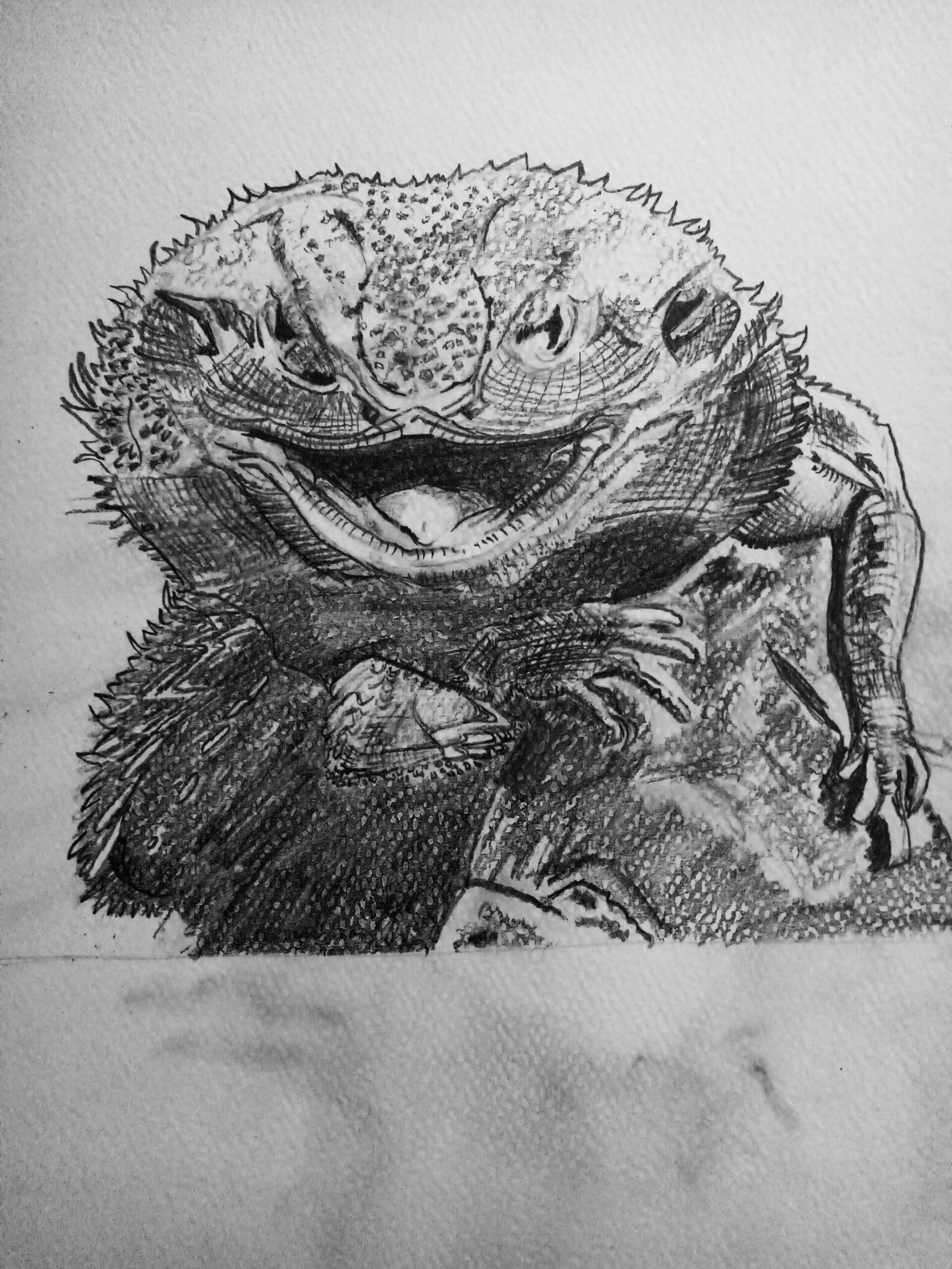 ArtStation - Dragon lizard!!!