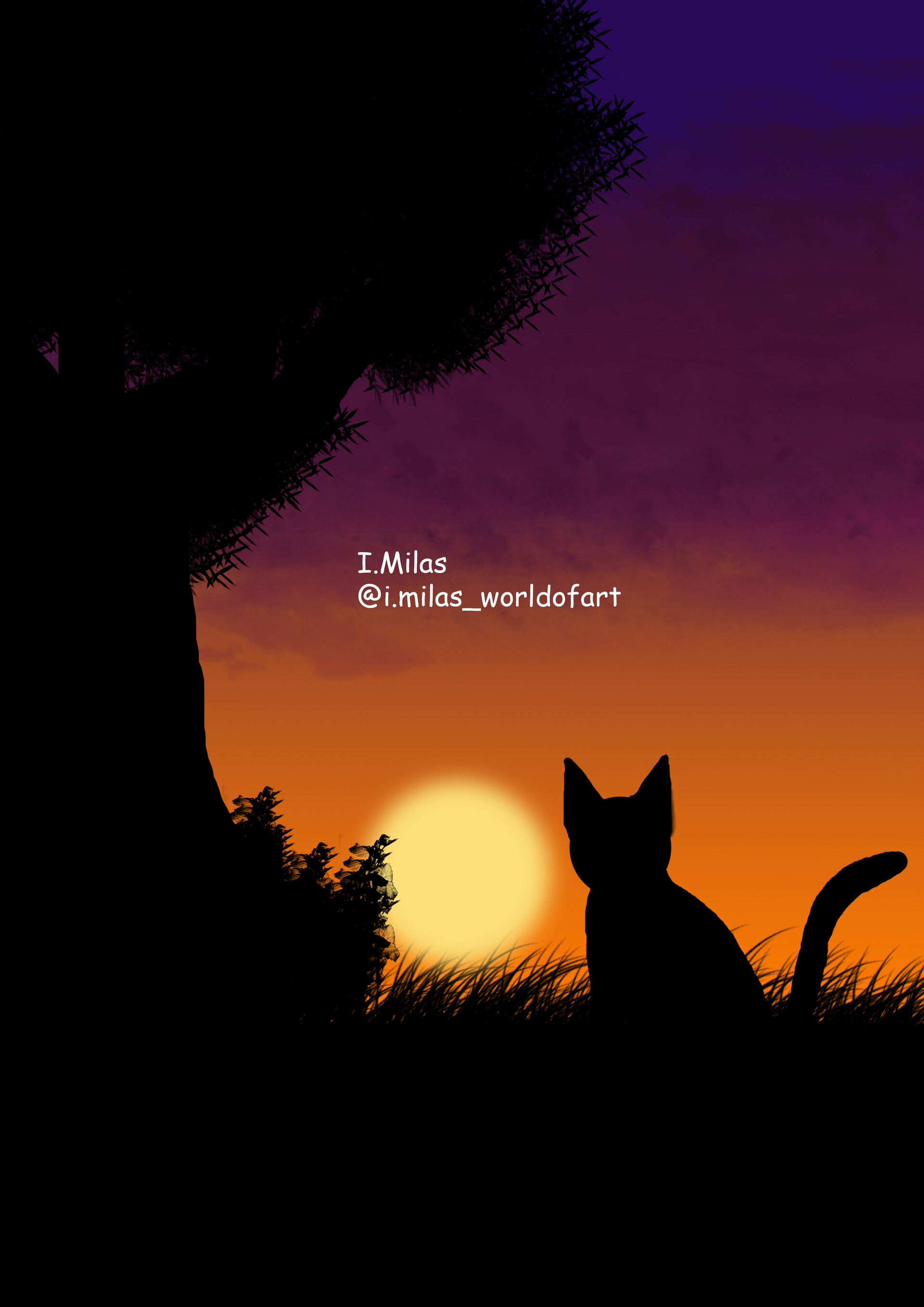 ArtStation - Cat at sunrise