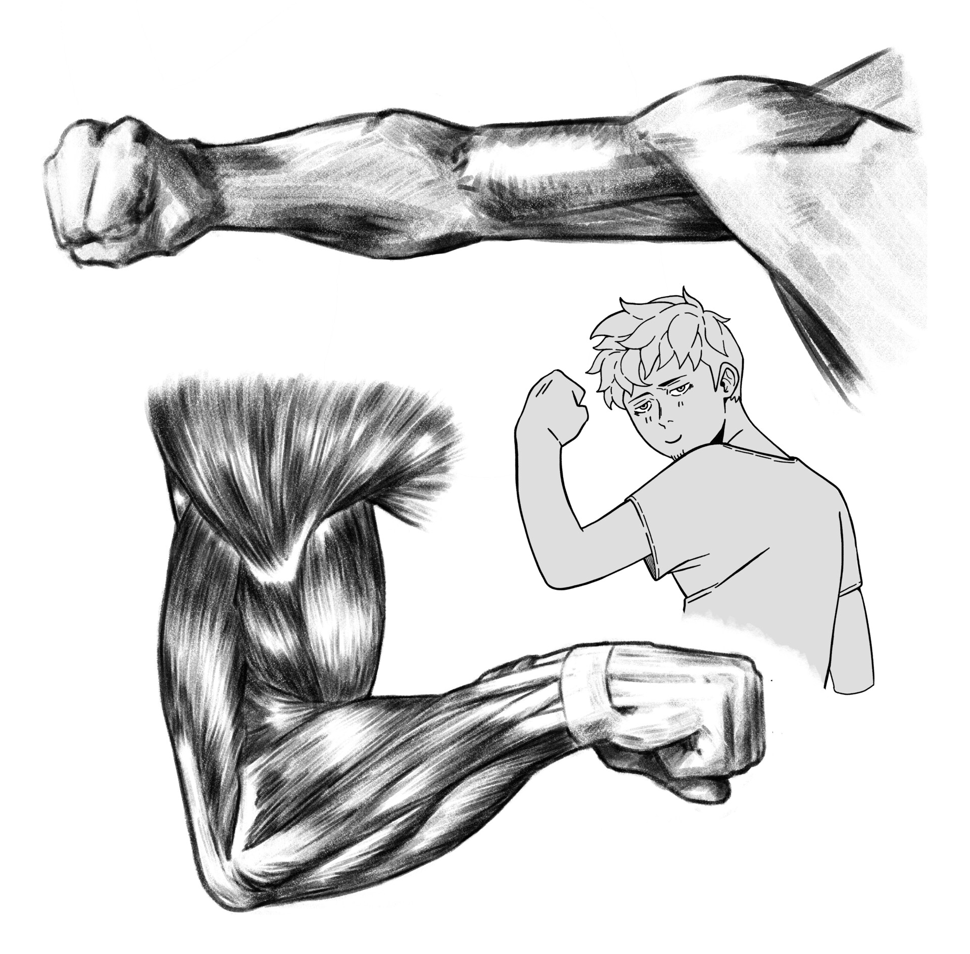 ArtStation - arm anatomy