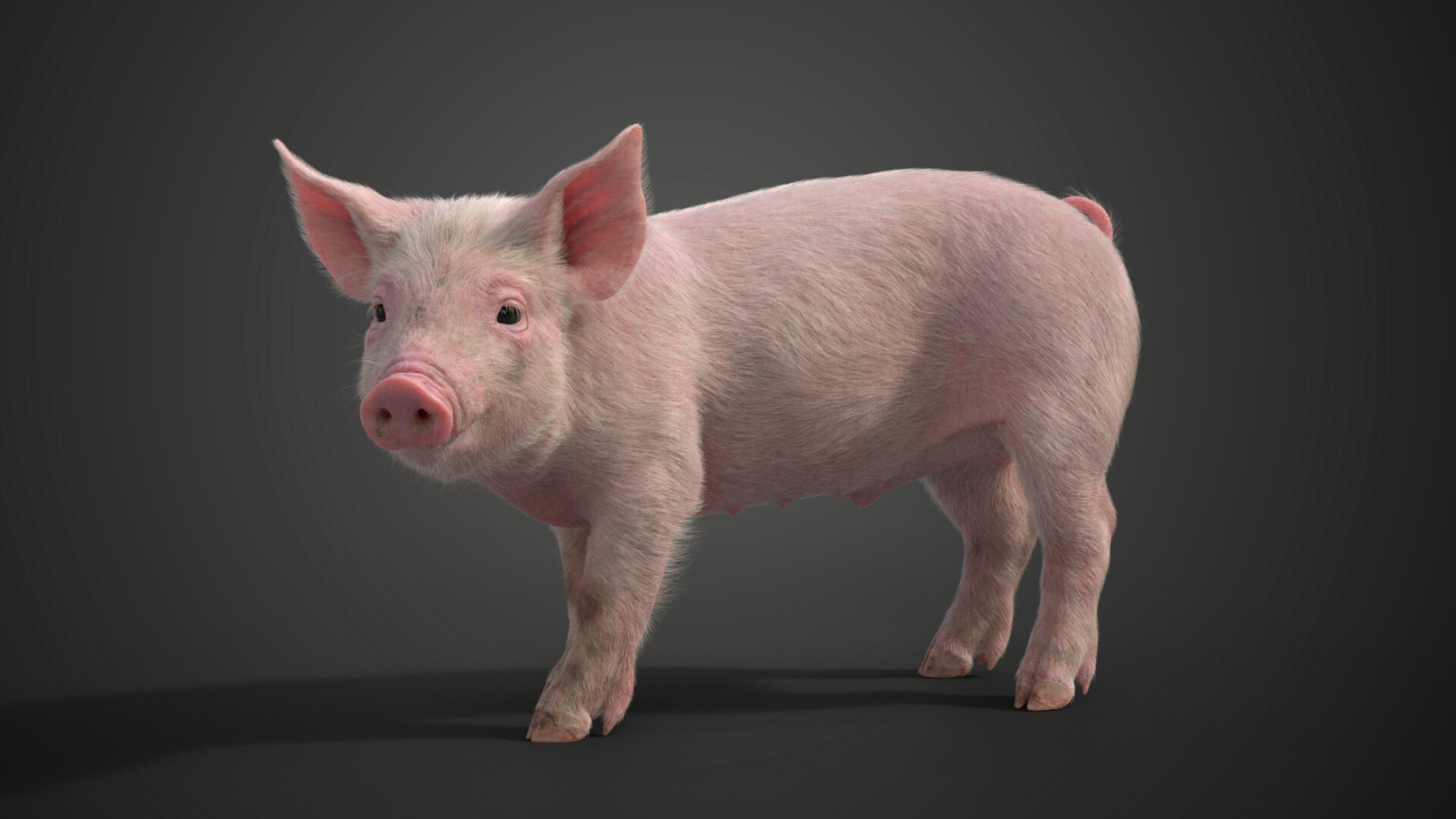 ArtStation - Piggy Animated | VFX Grace