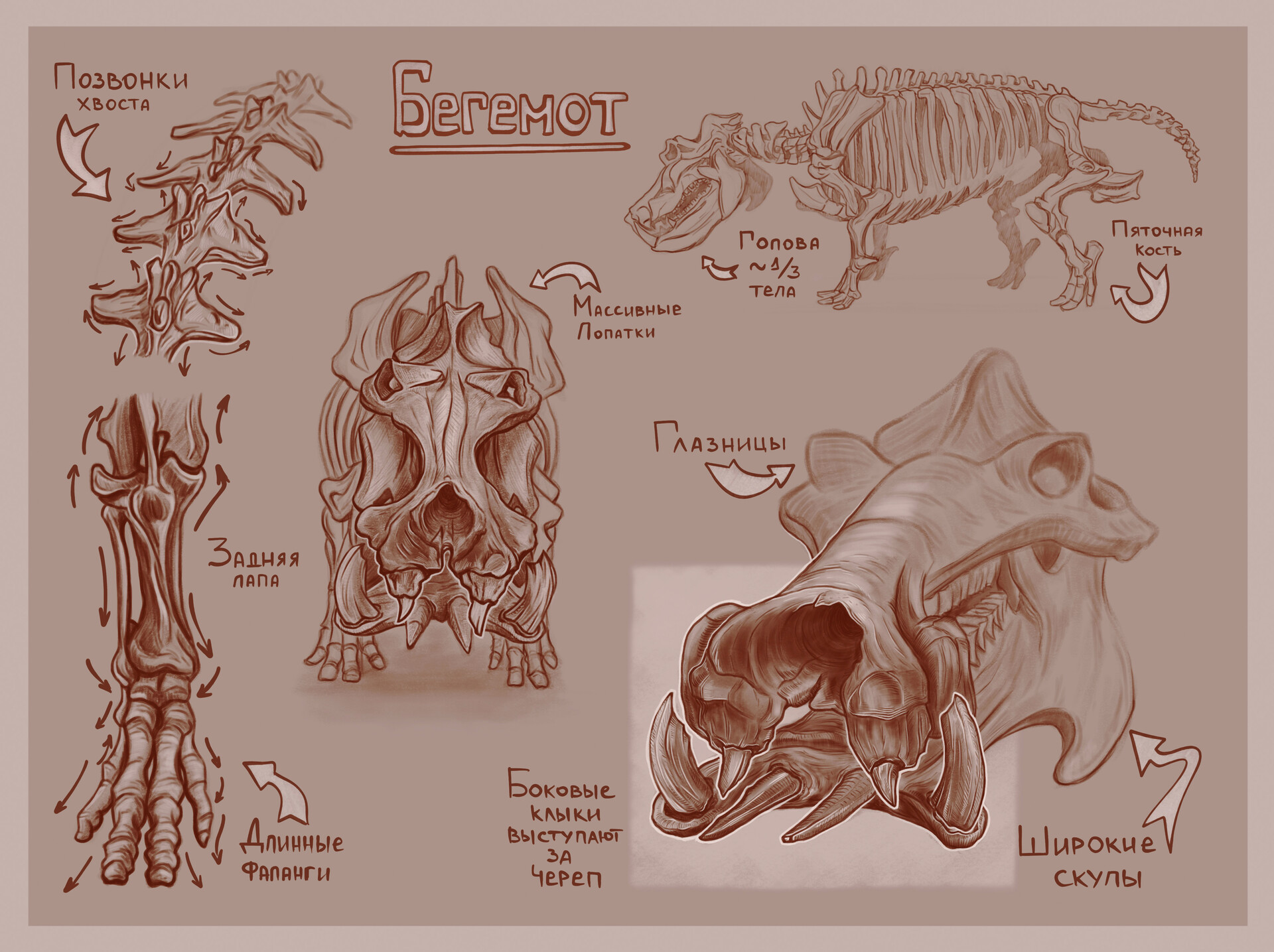 ArtStation - Hippopotamus Skeleton