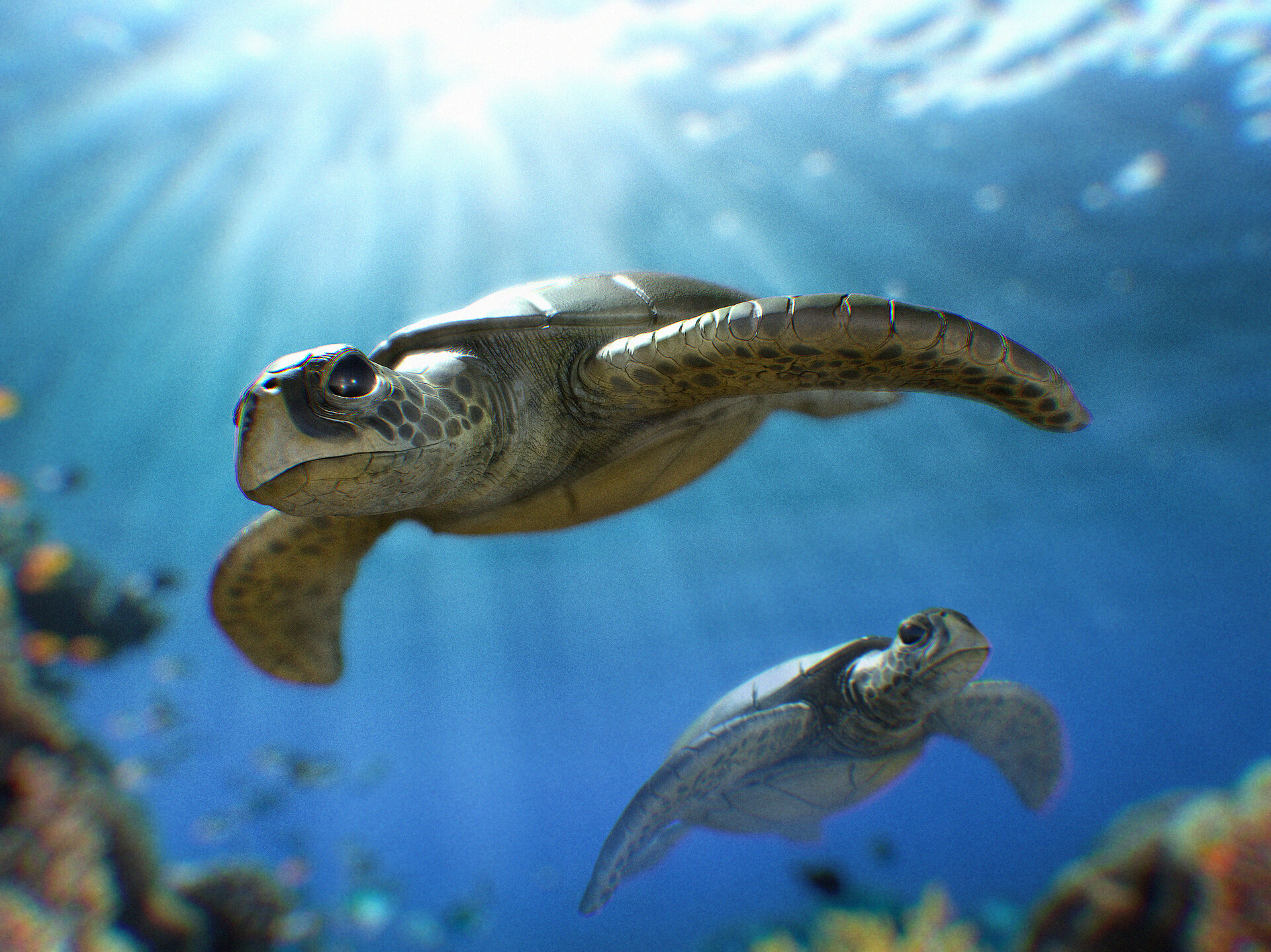ArtStation - Sea Turtle in Nomad Sculpt