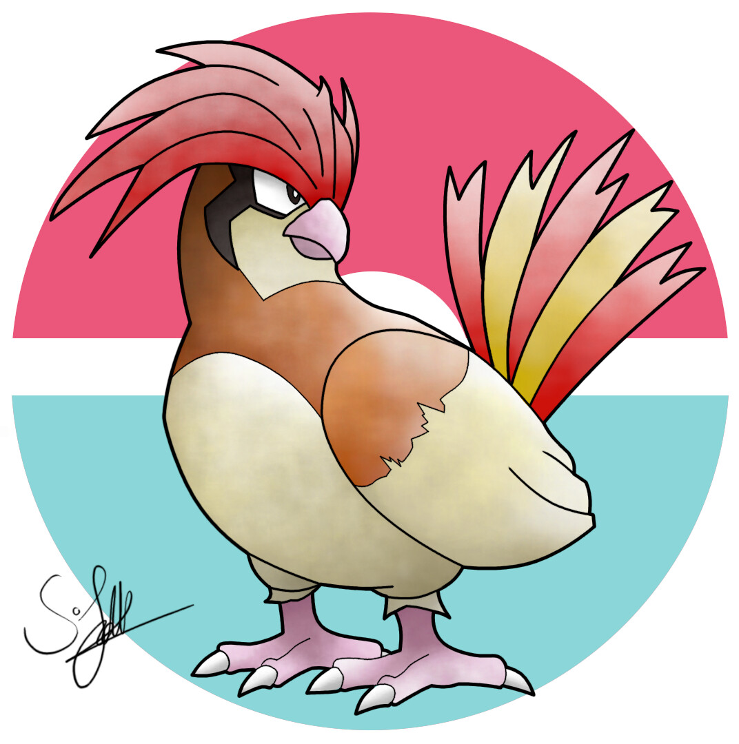 ArtStation - #017 Pidgeotto Watercolour