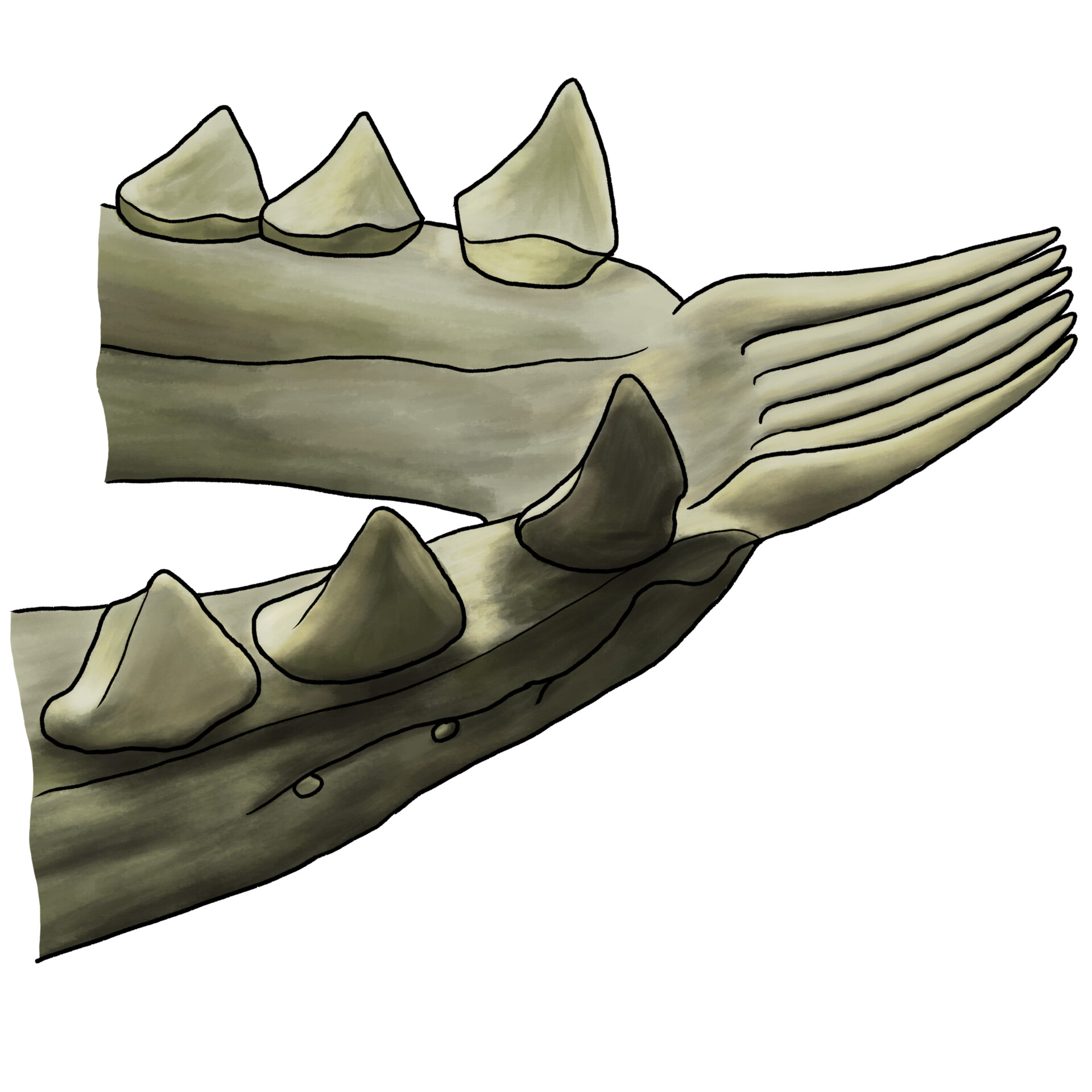 ArtStation - Tooth Comb Illustration
