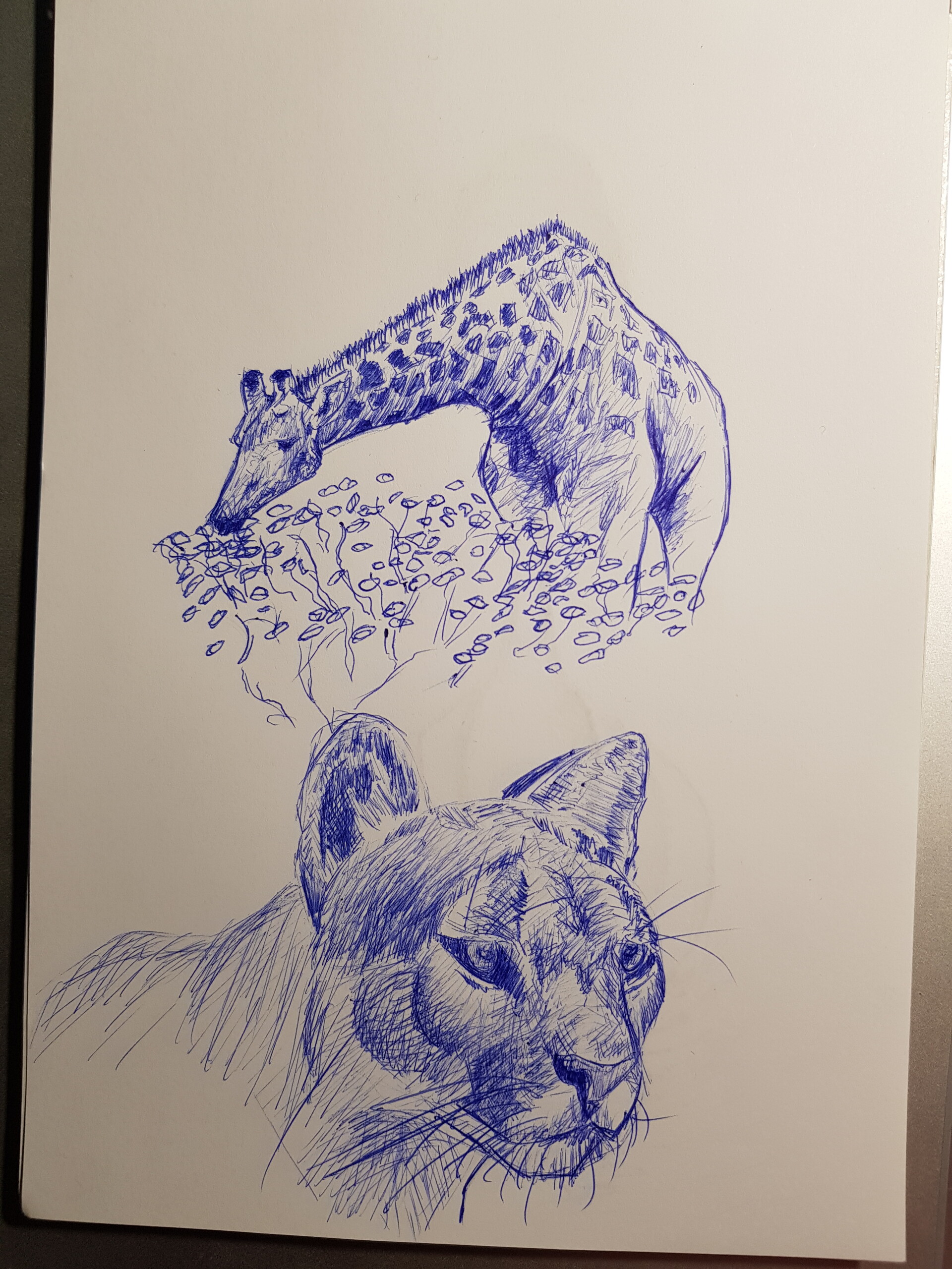 Bic Ballpoint Pen Art