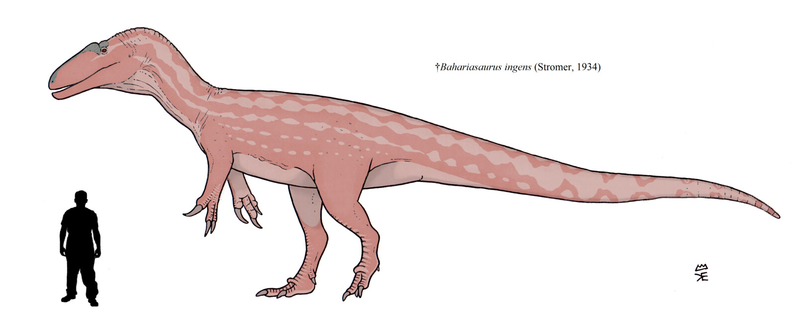 Thomas Sutton - Bahariasaurus ingens