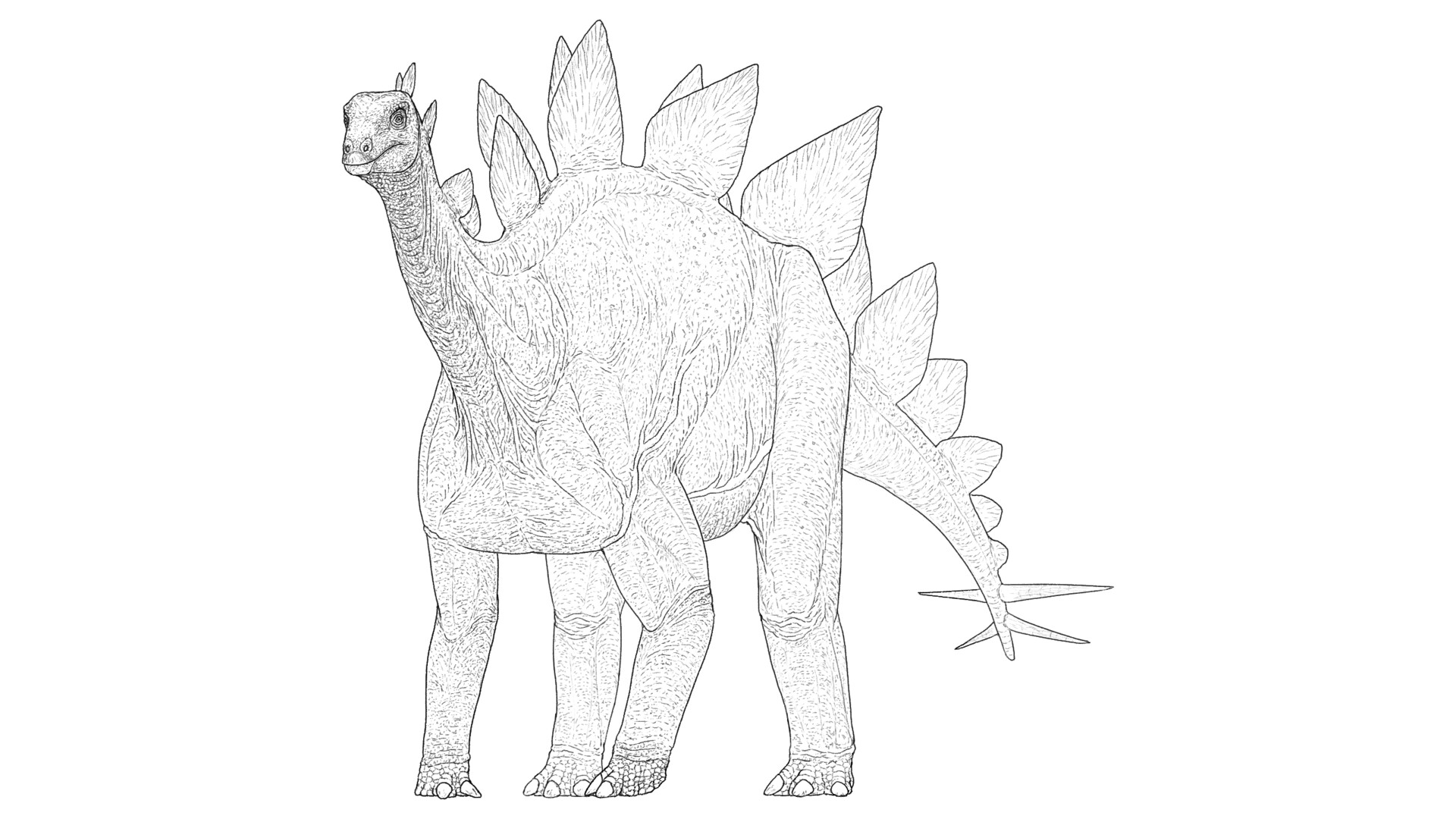 ArtStation - Dinosaur Line Art