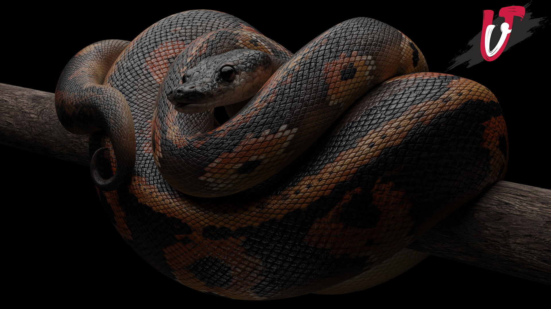 ArtStation - Ball Python 3d model