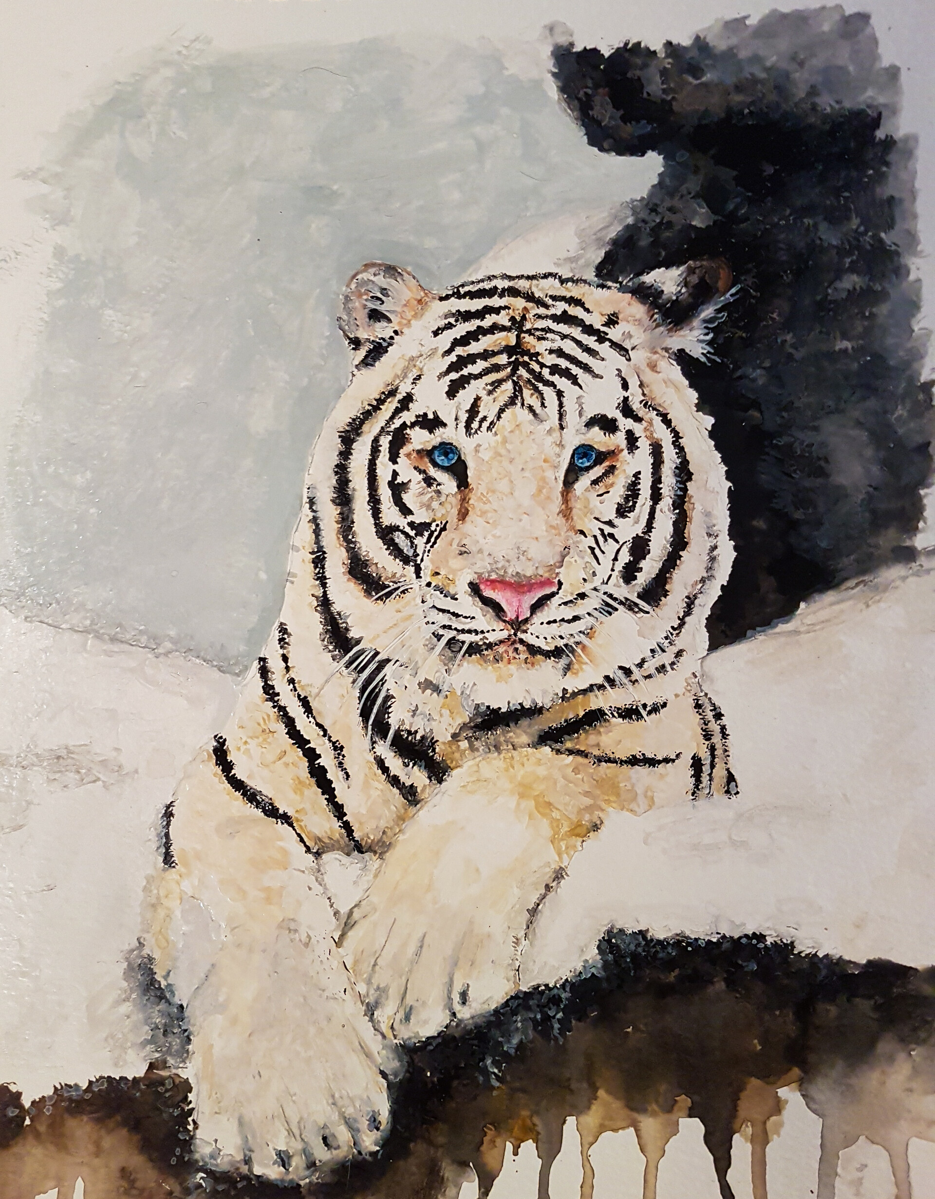 Watercolor White Tiger