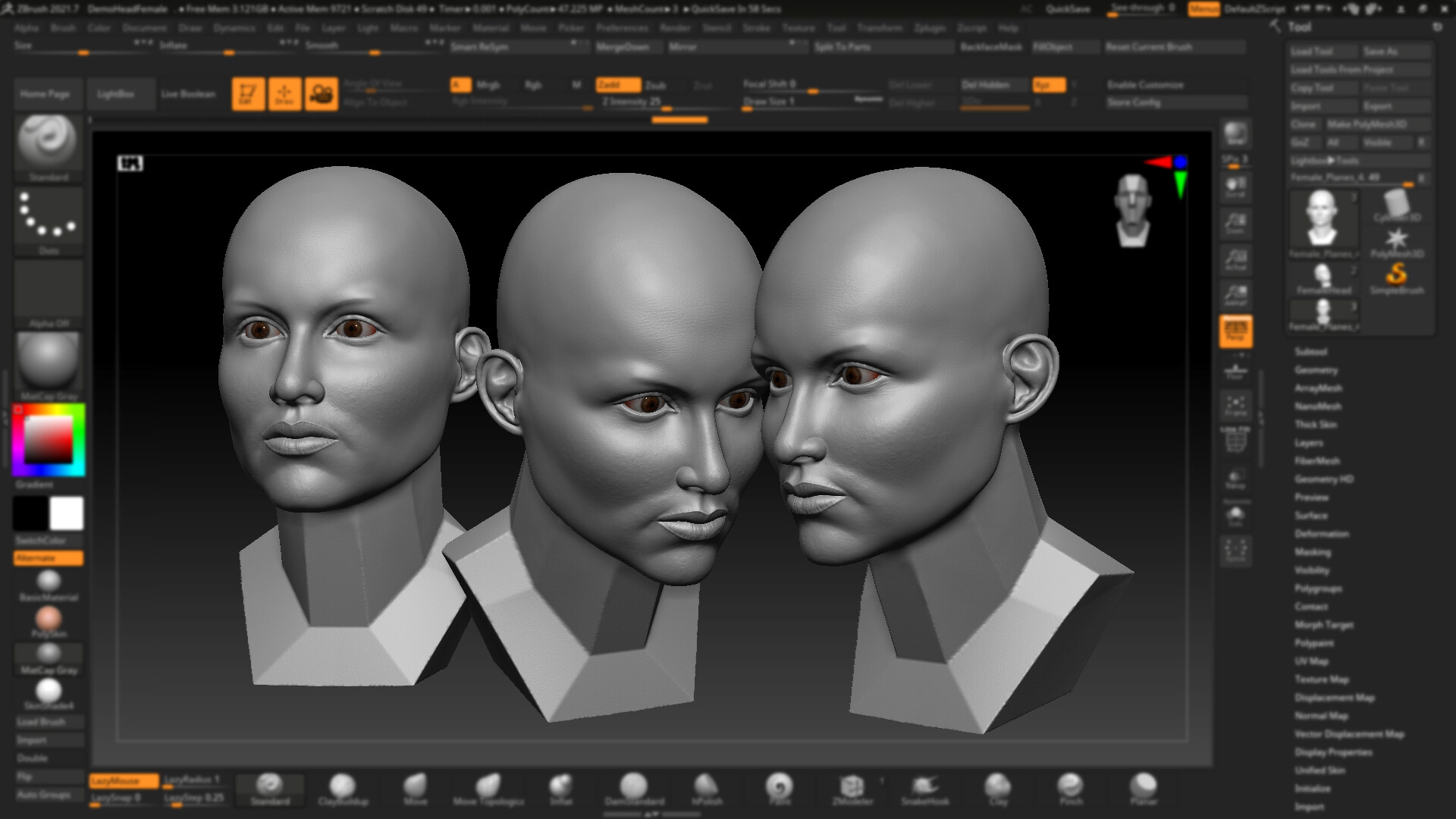 ArtStation - Female Head Practice