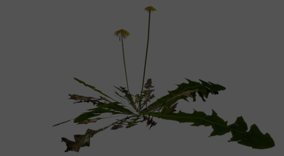 ArtStation - HOW TO MAKE PLANT SHADER MATERIAL FOR AMD (RADEON PRO ...