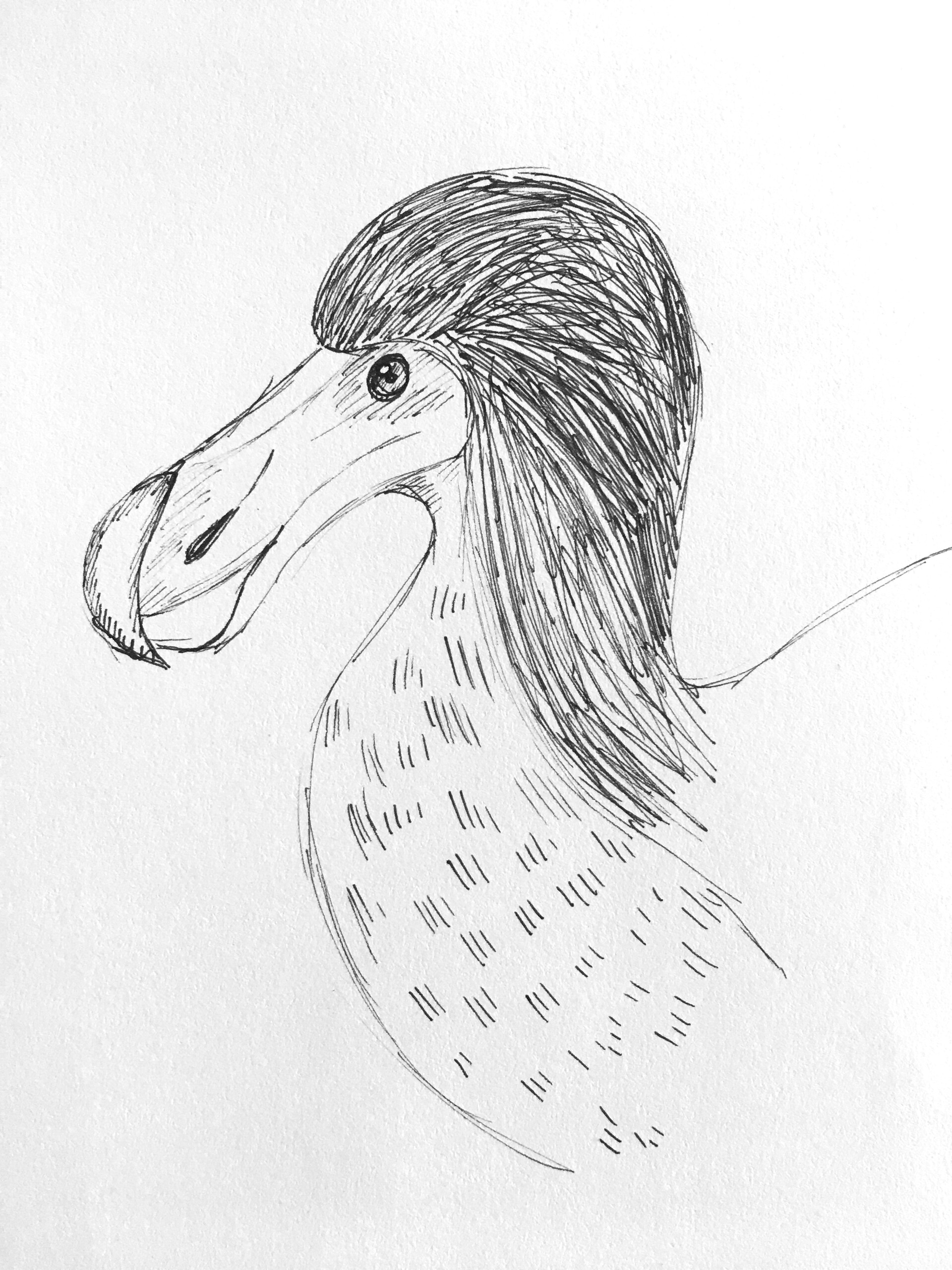 ArtStation - Inktober 2021 | 24. Extinct