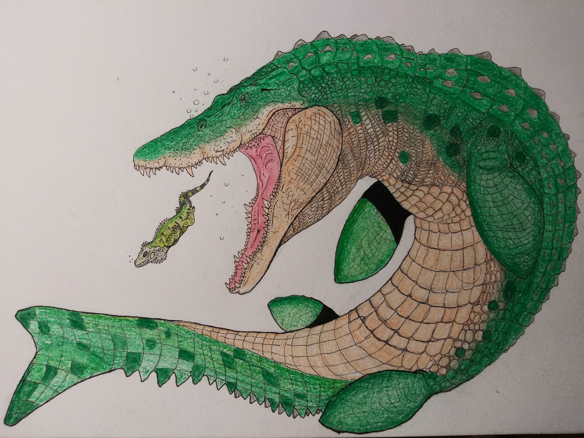 ArtStation - Mosa croc🐊🦈