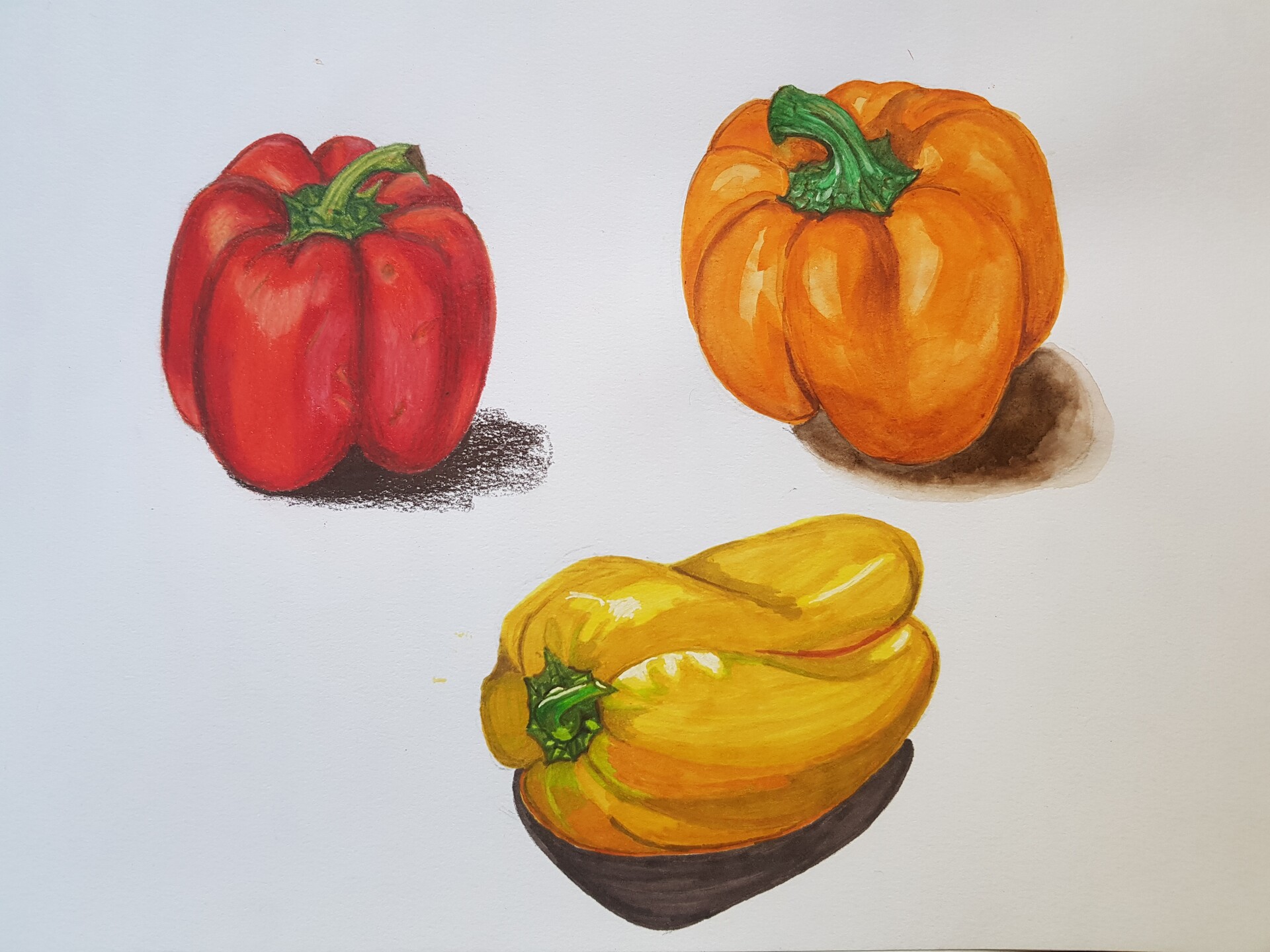 ArtStation - Bell pepper observation