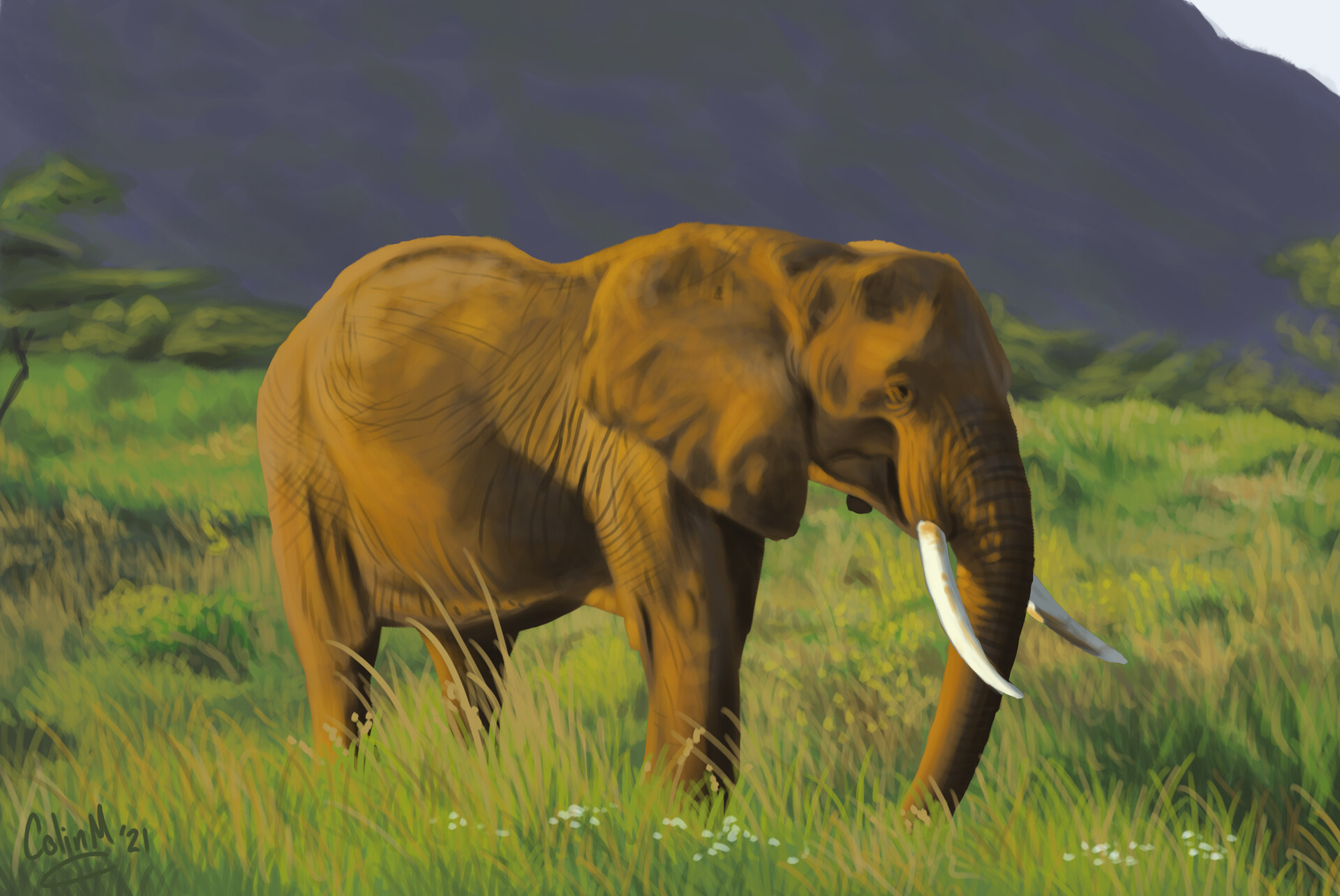 ArtStation - Painting Practice - African Elephant