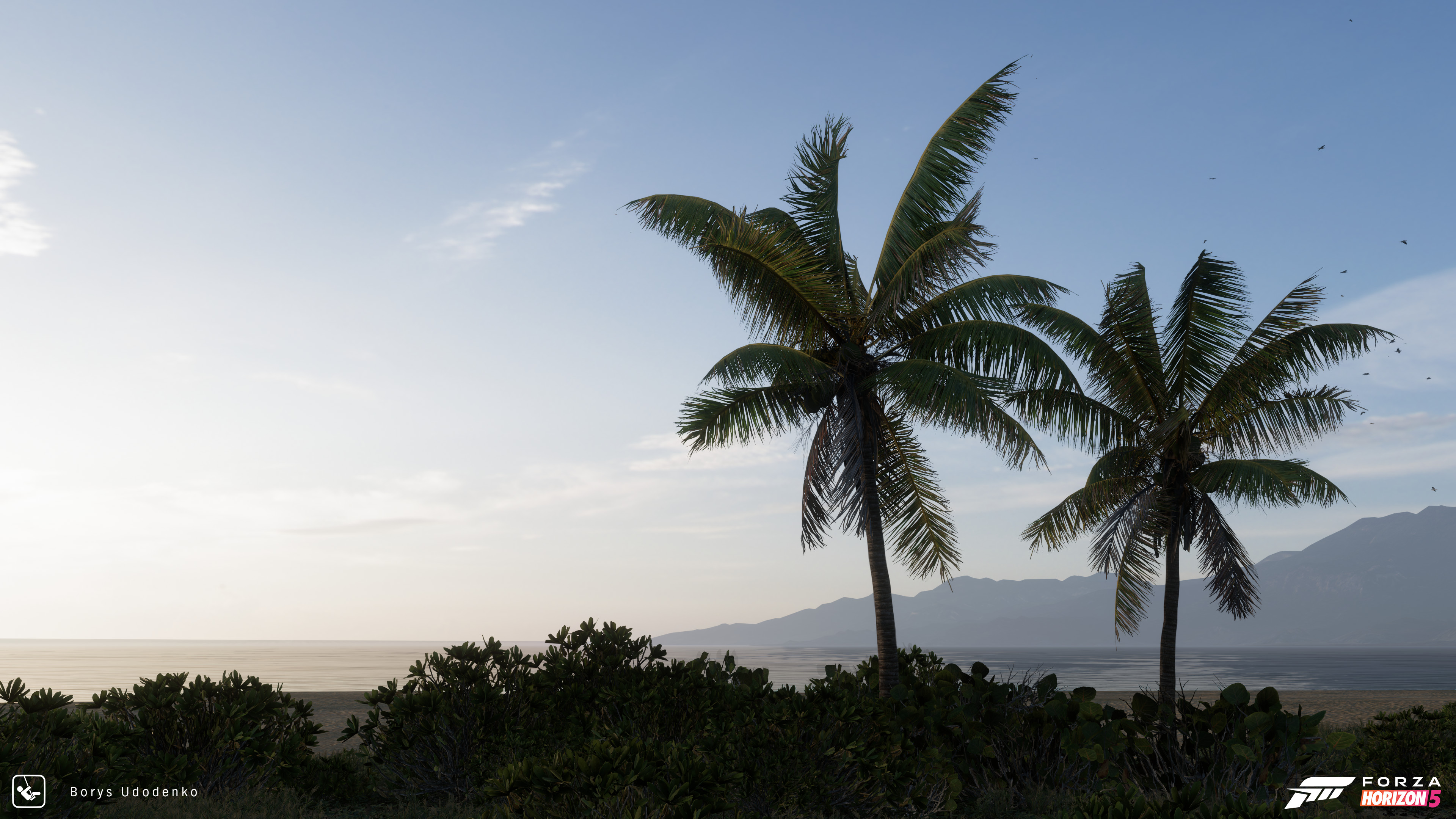 Borys Udodenko - Forza Horizon 5 - Foliage