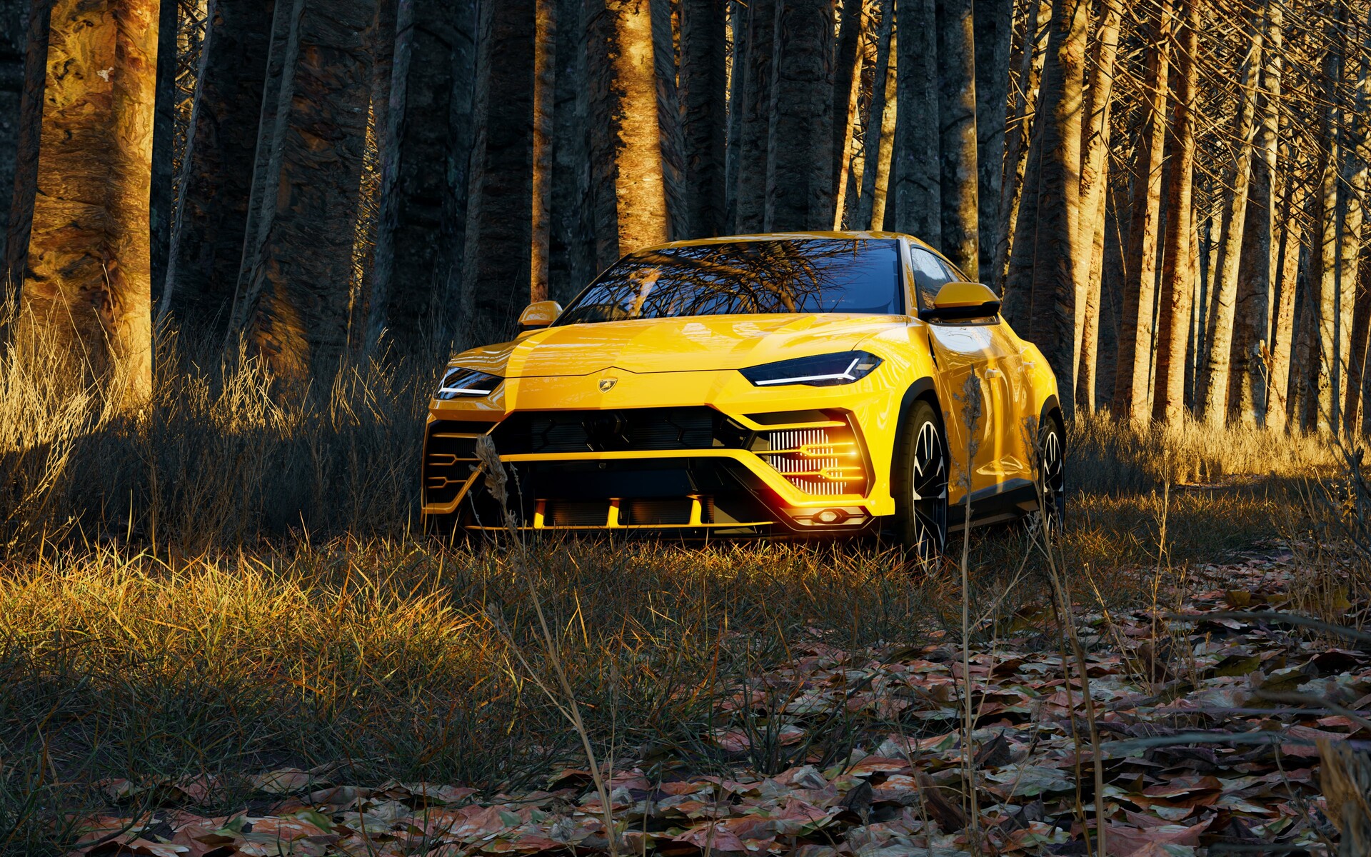 ArtStation - Forest Car