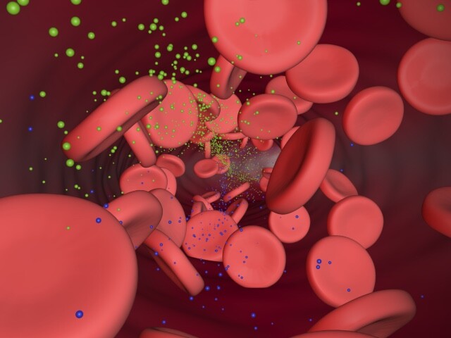 ArtStation - Blood flow