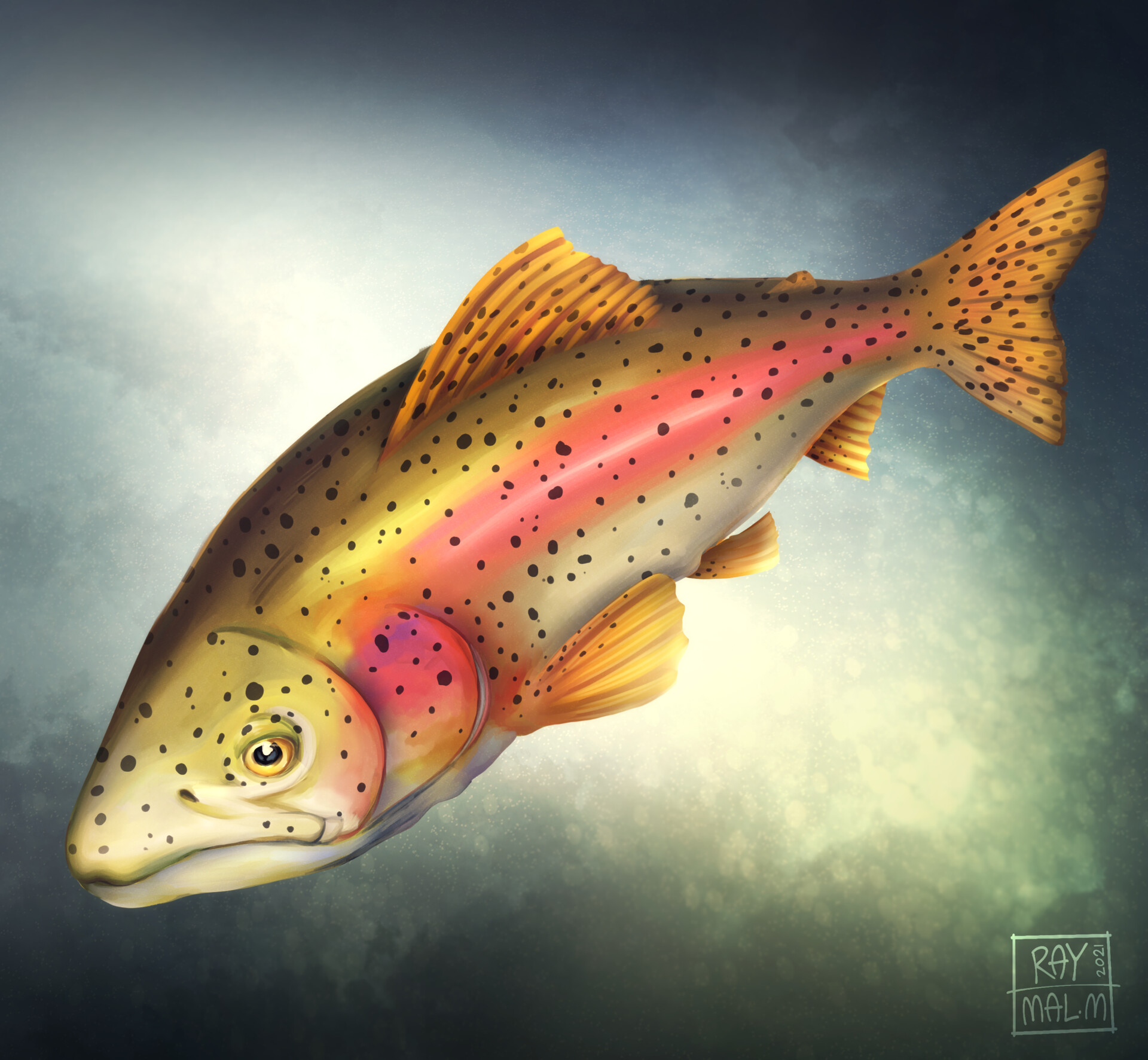 ArtStation - Rainbow Trout