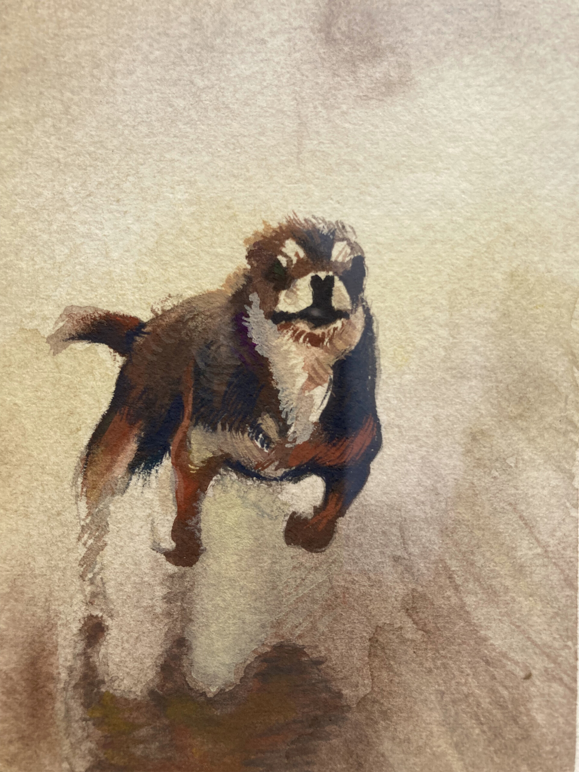 ArtStation - Gouache Character