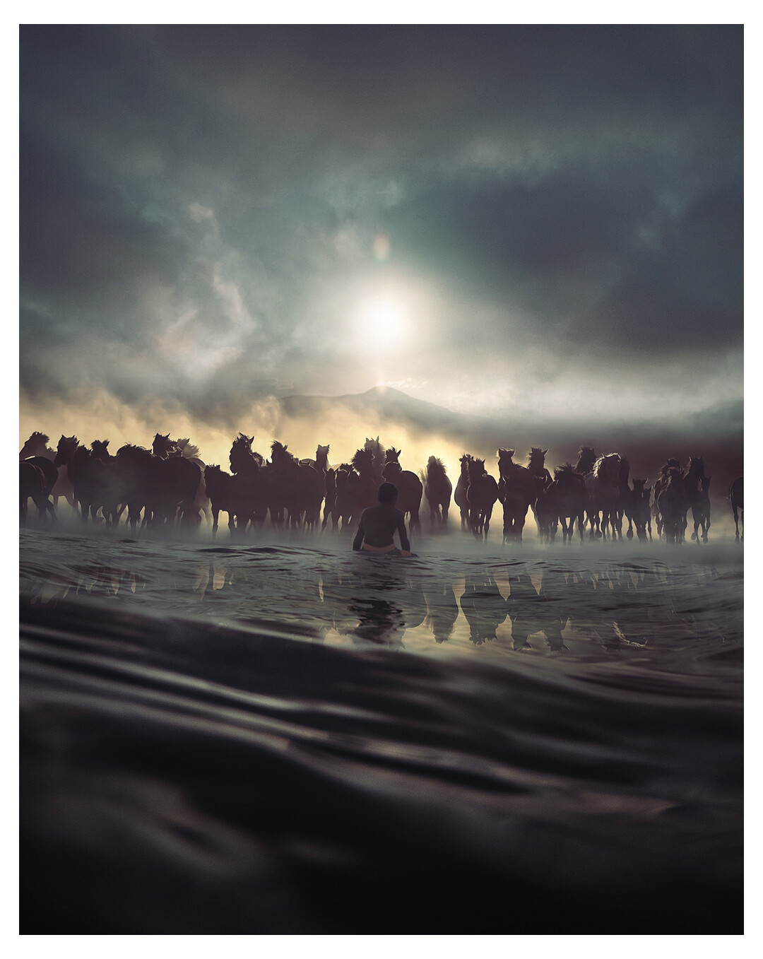 ArtStation - Wild horses