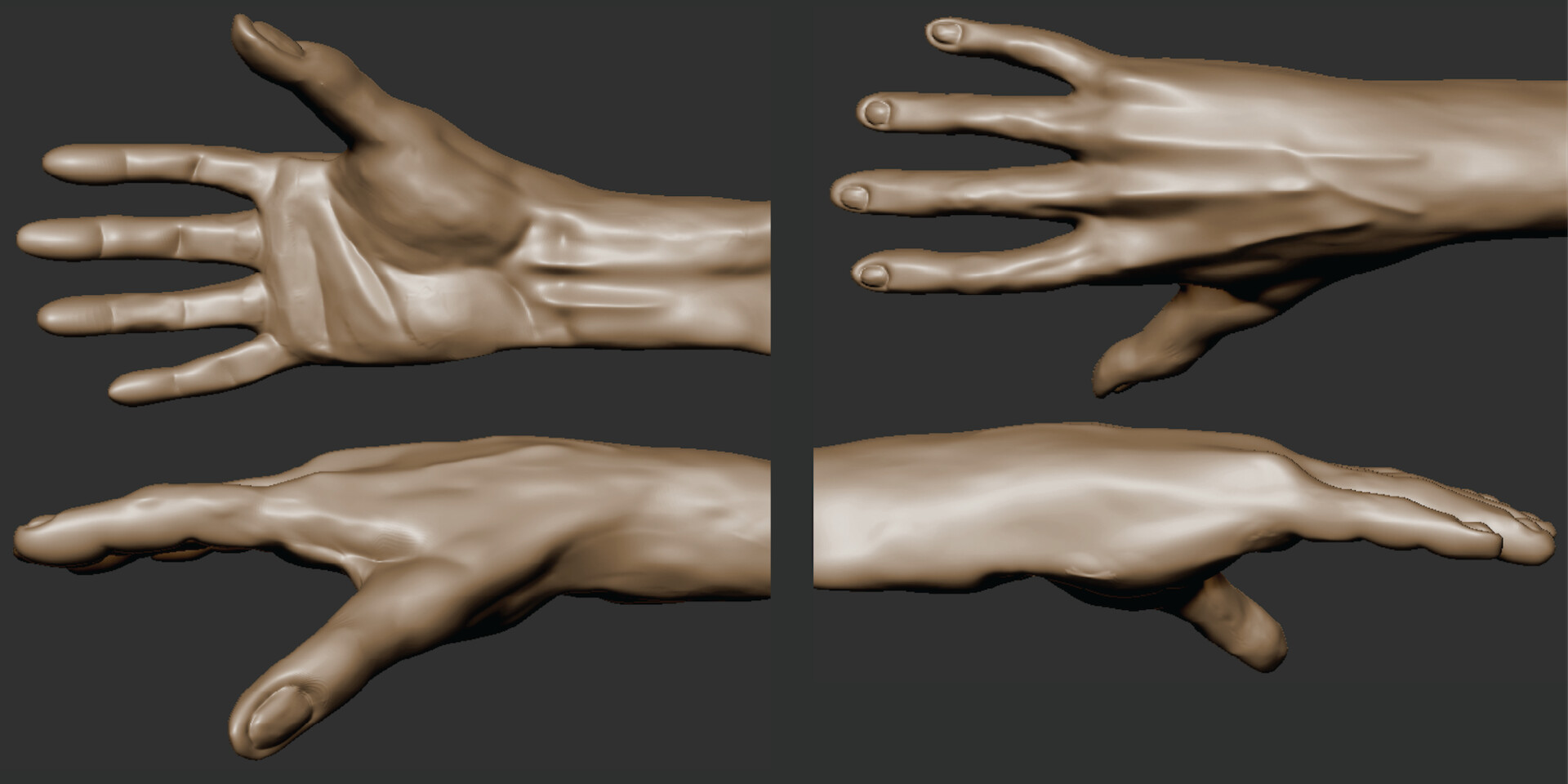 Hand Reference For 3d Modeling
