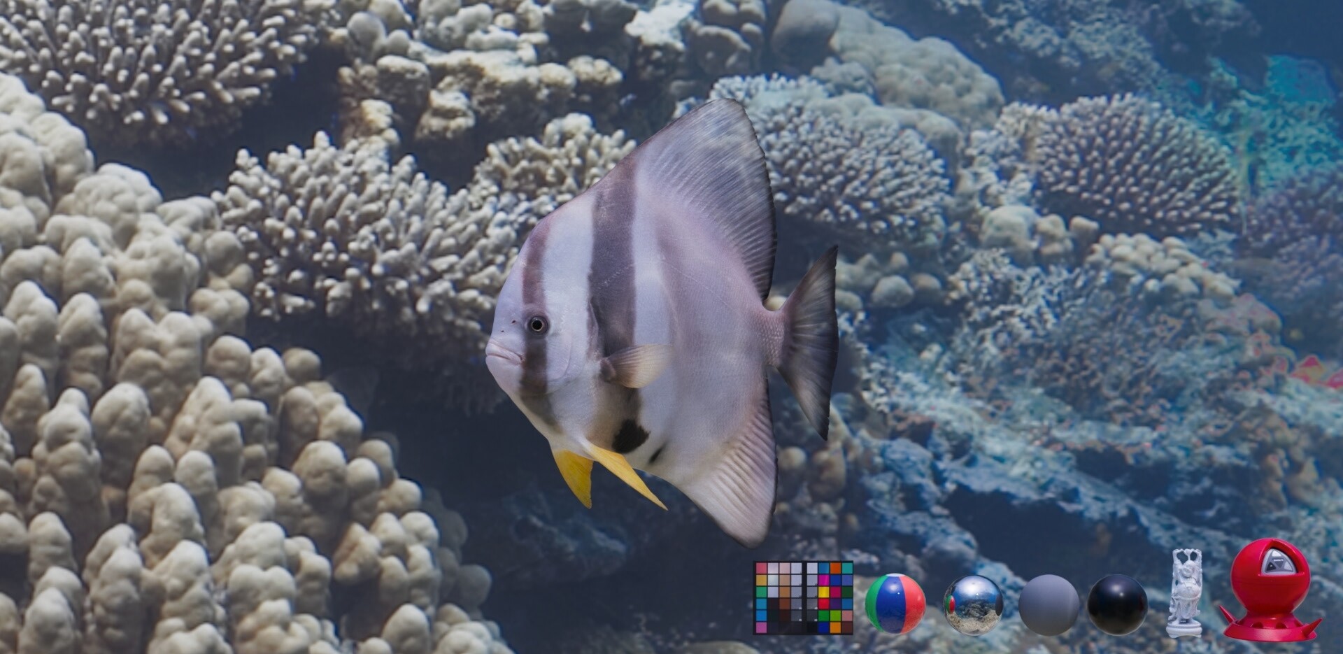 ArtStation - teira Batfish