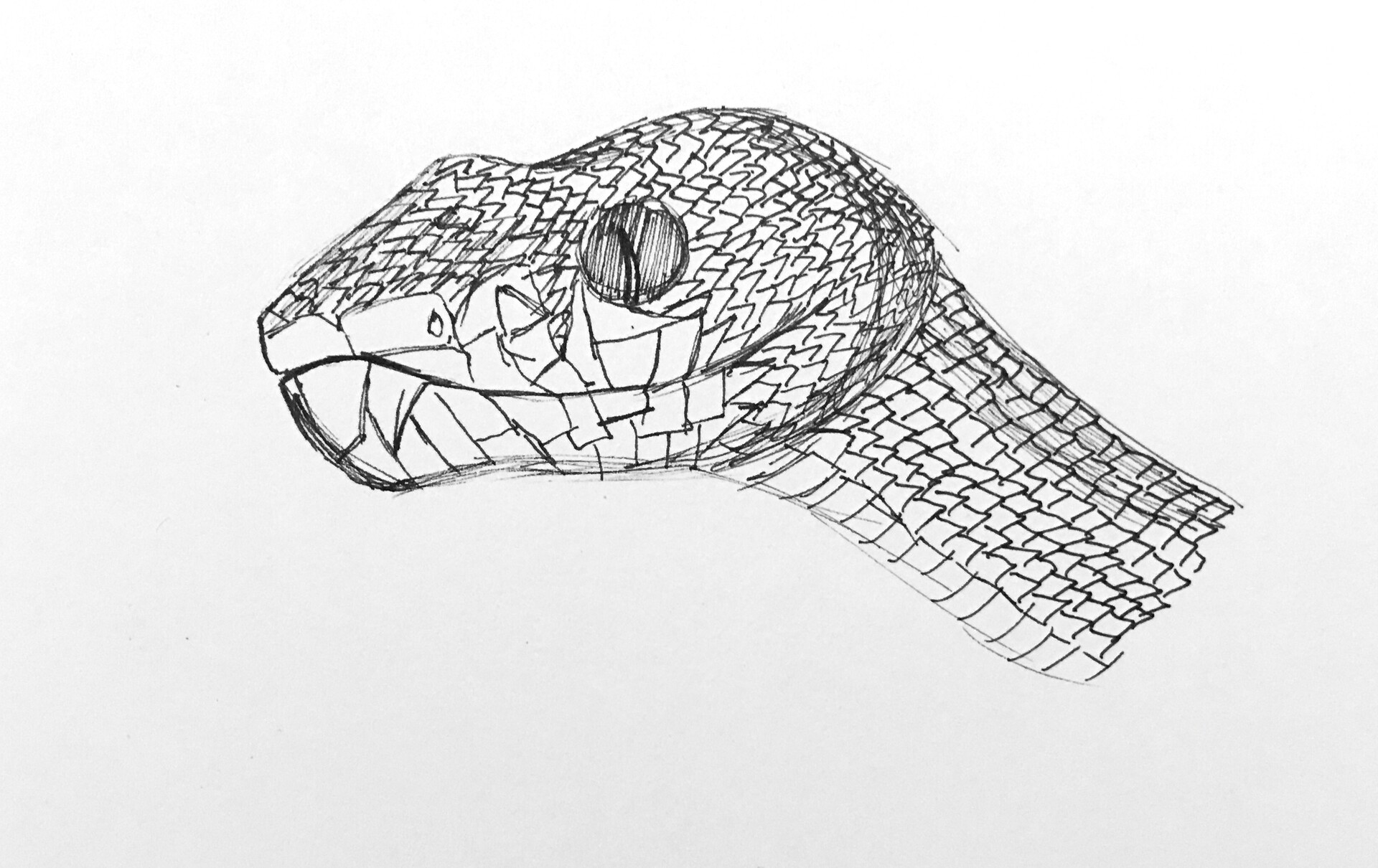 ArtStation - Inktober 2021 30. Slither