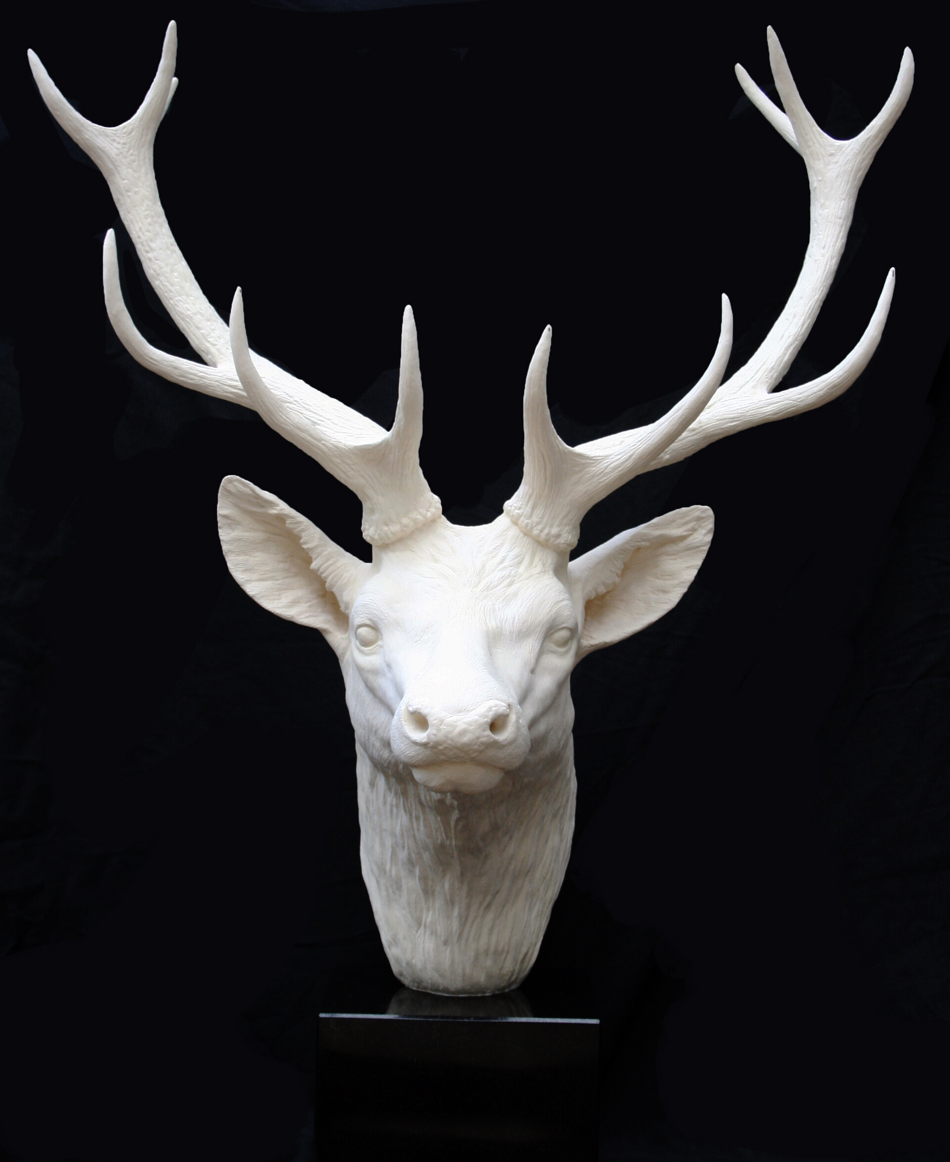 ArtStation - Highland Stag Bust. Ceramic and Granite.