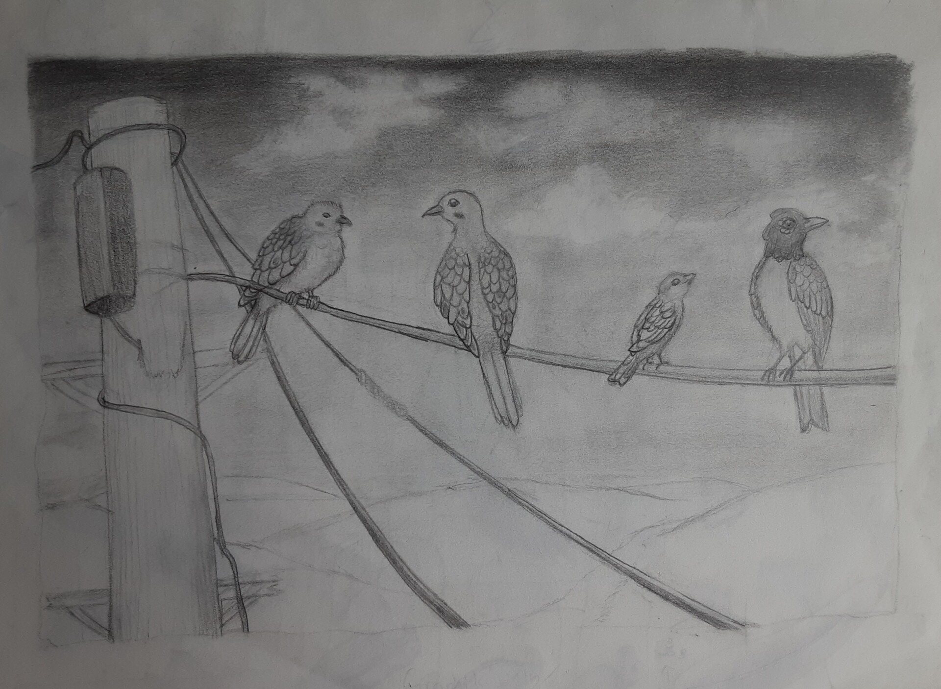 ArtStation - Birds on a Wire