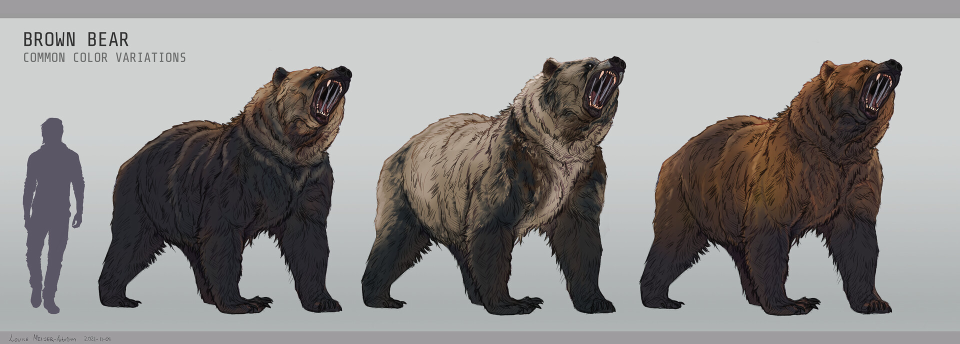Louise Meijer Åström - Brown bear concepts - hobby project