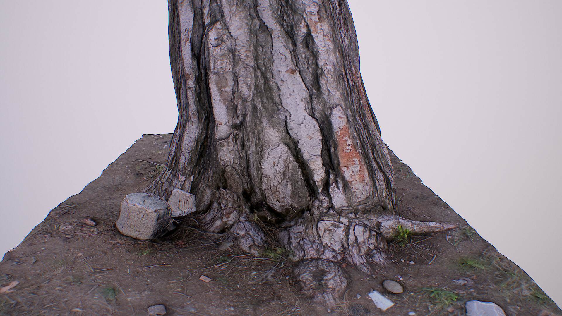 ArtStation - Photogrammetry Tree