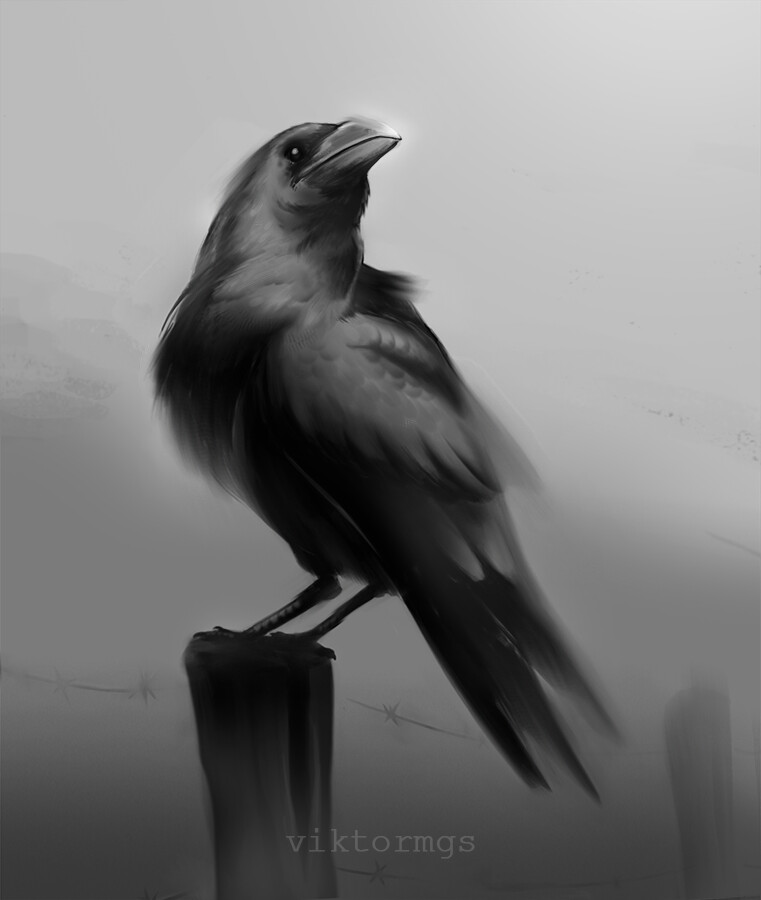 ArtStation - And another crow!