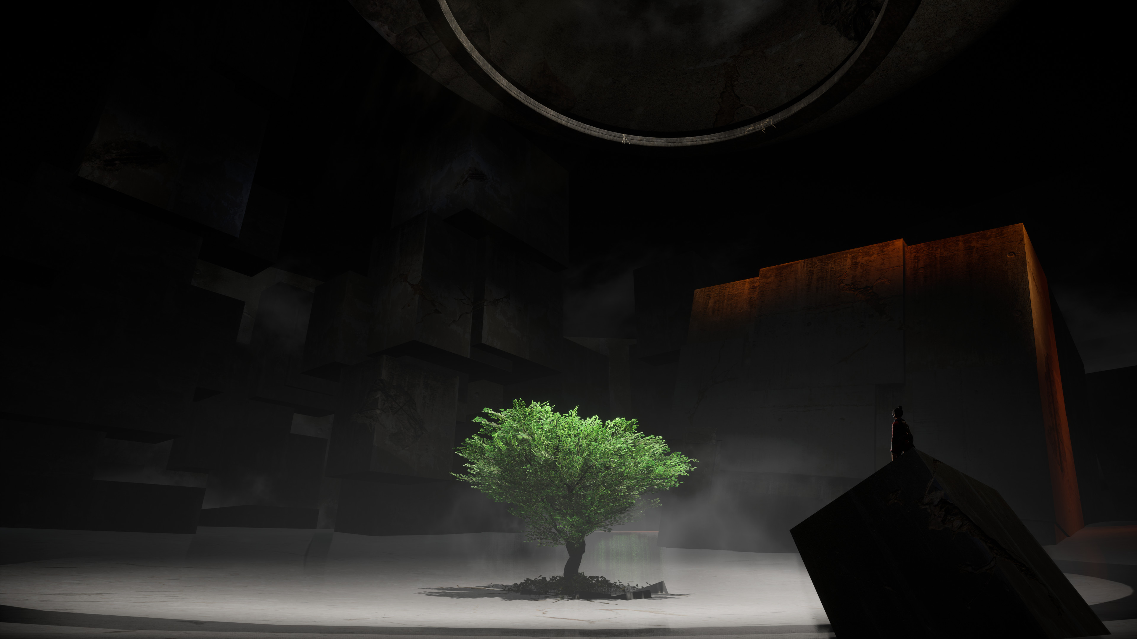 Steven Lin - The Last