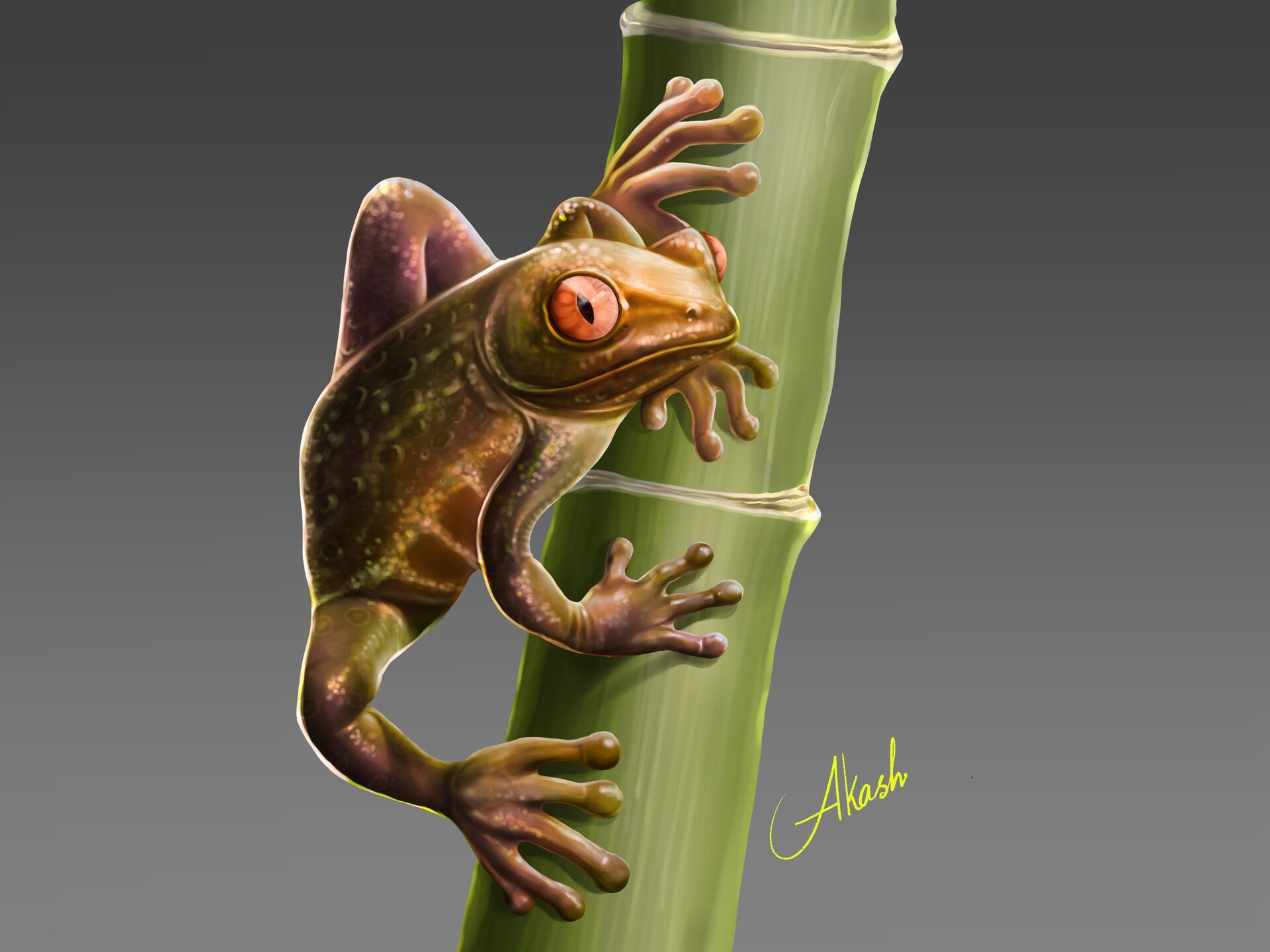 ArtStation - Frog Digital Painting