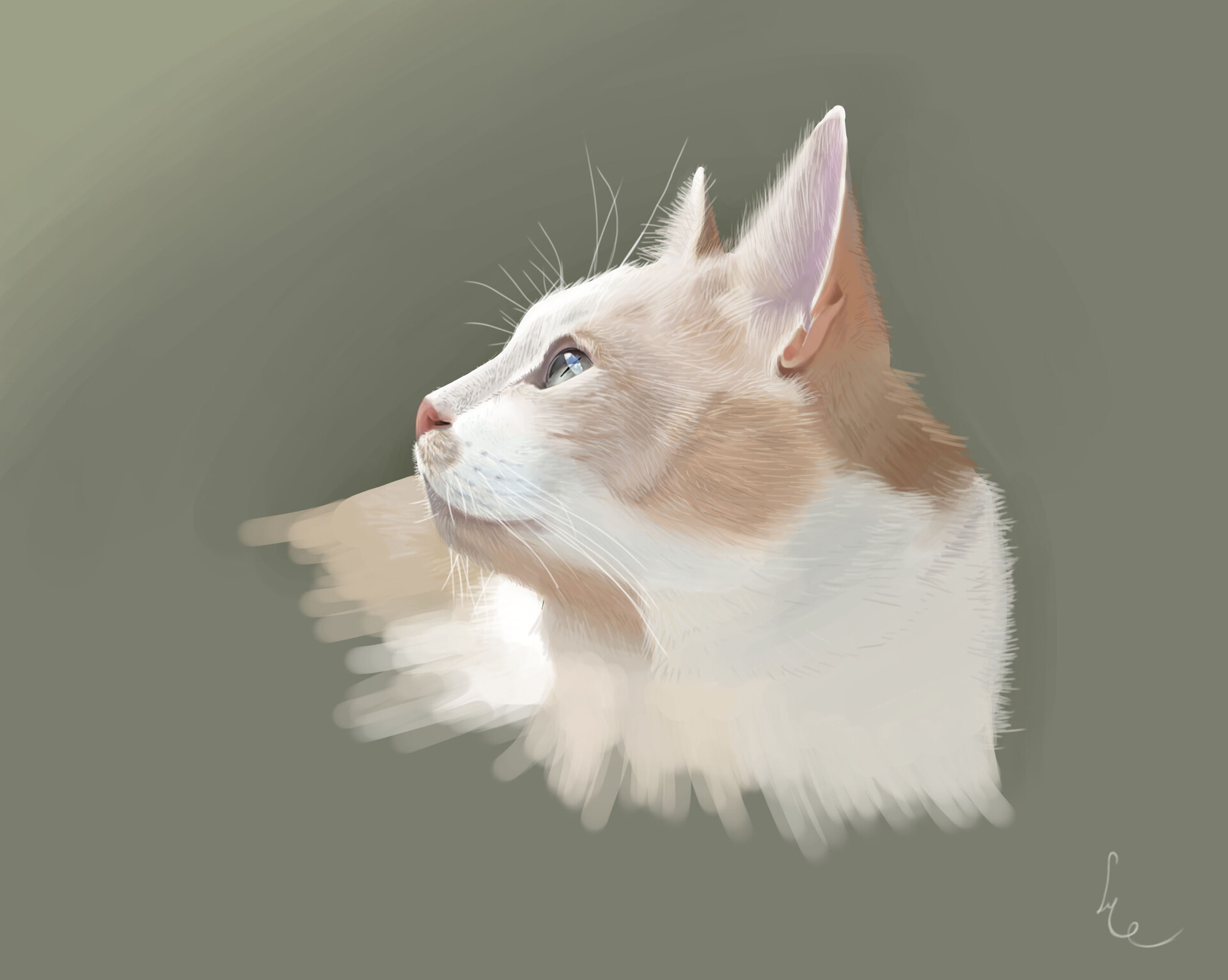 ArtStation - My Cat