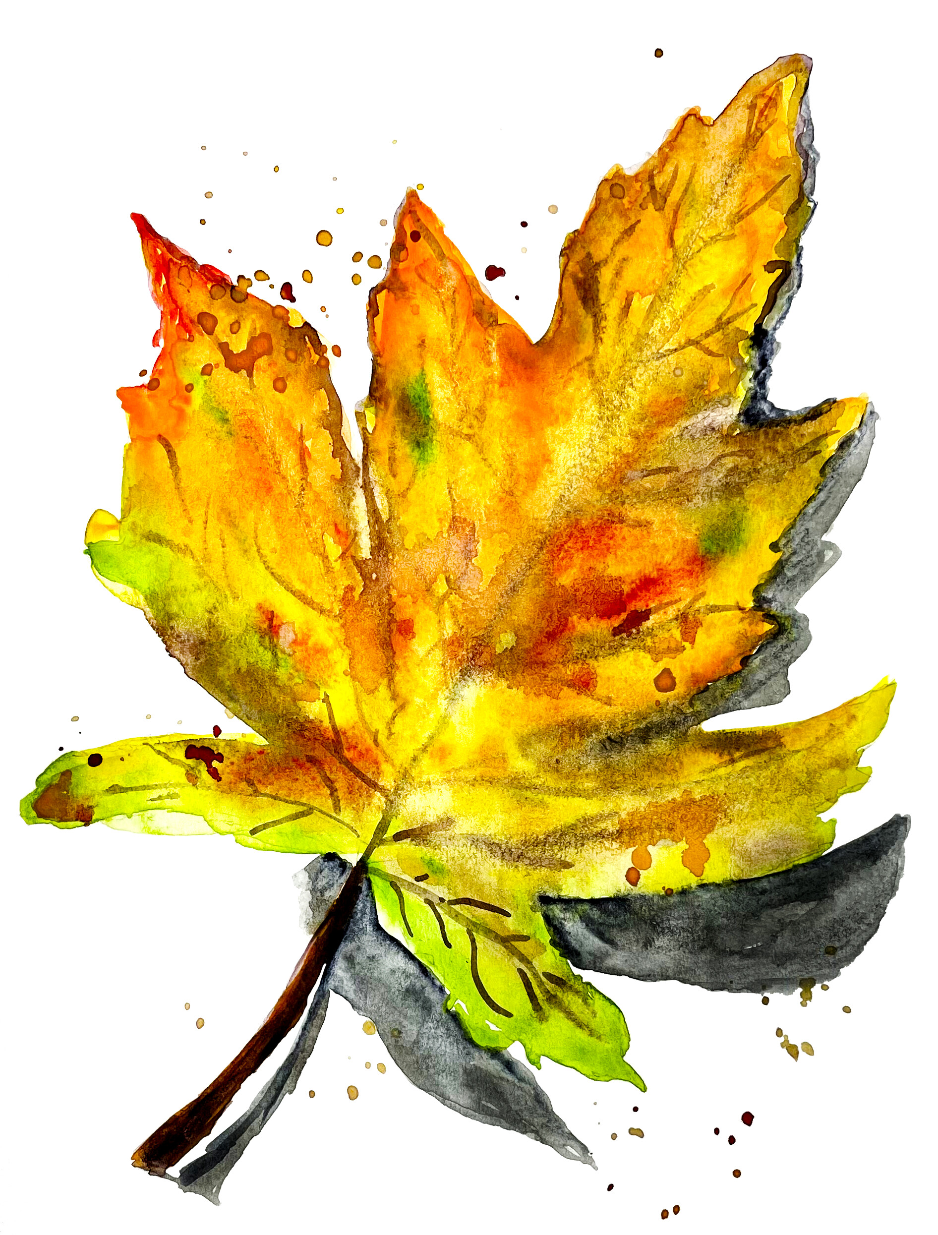 ArtStation - Maple leaf