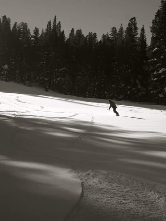 ArtStation - ski work