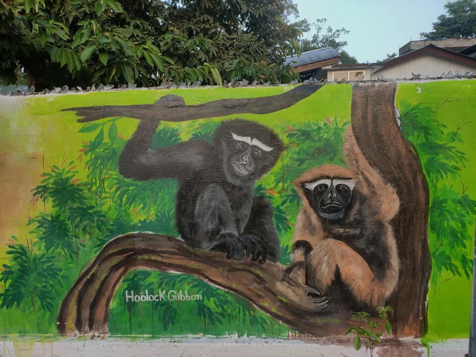 Art for Nature - Wall art at Guijan