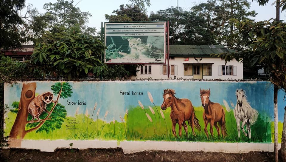 Art for Nature - Wall art at Guijan