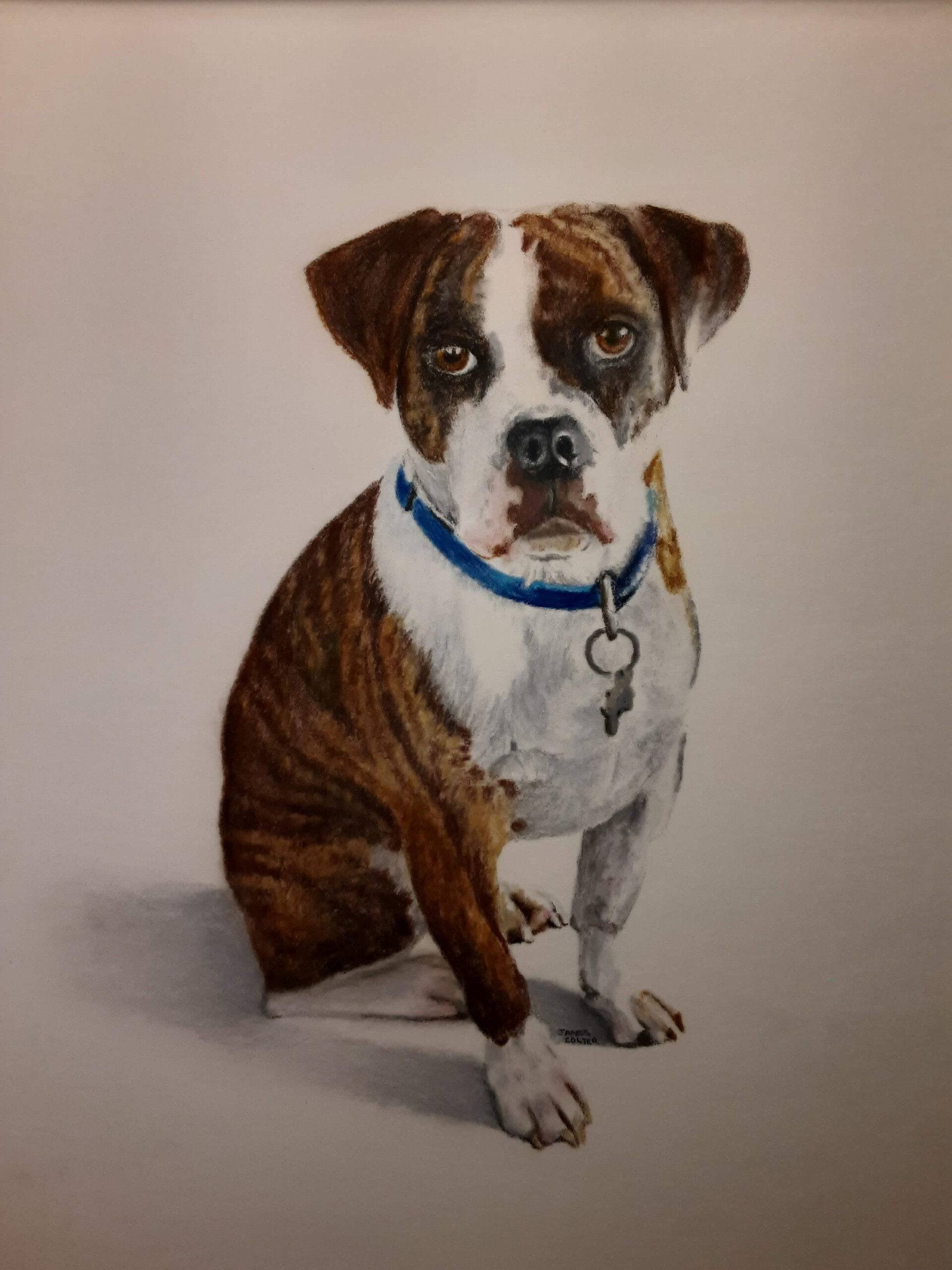 ArtStation - Pastel of a dog