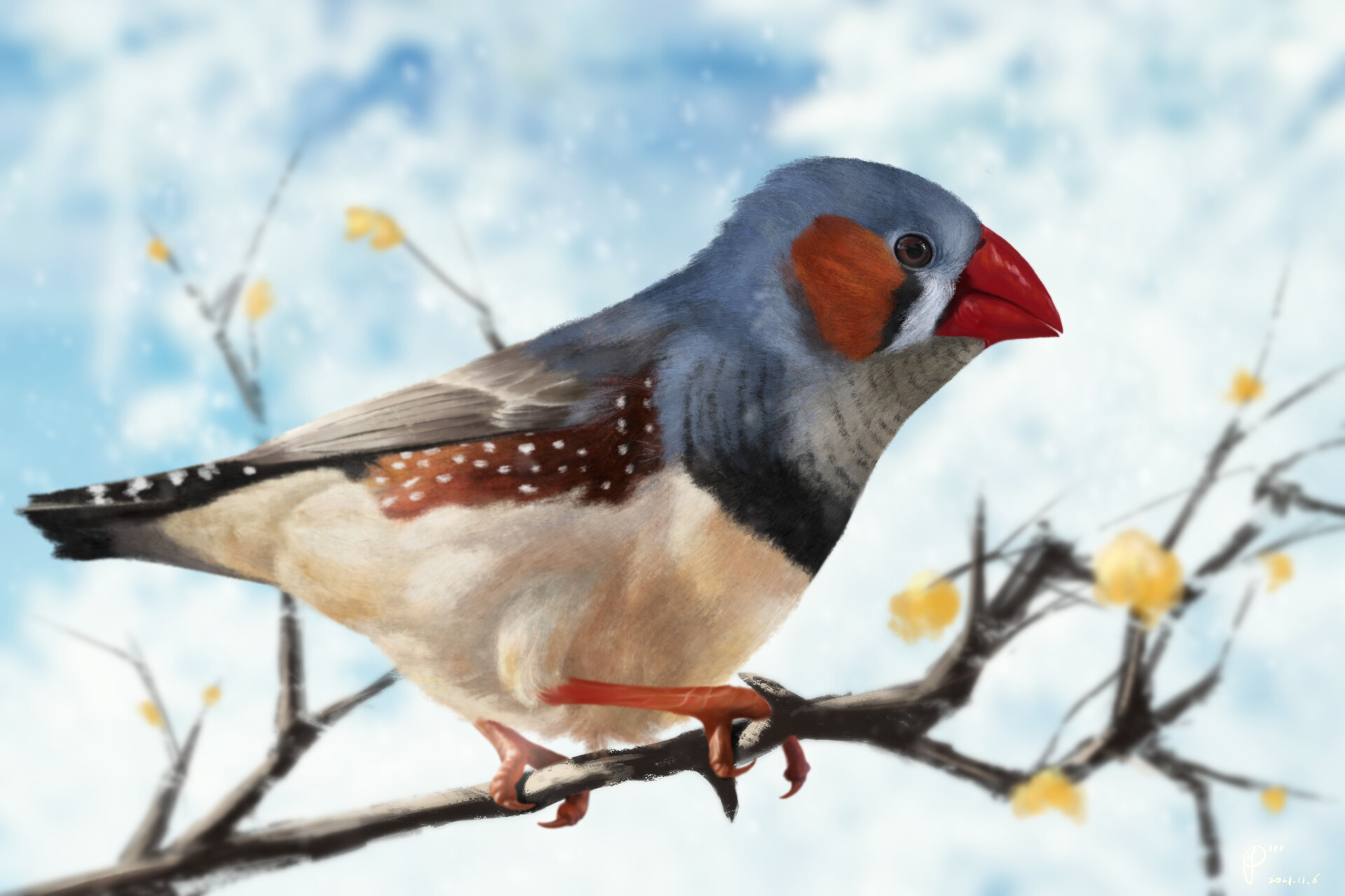 ArtStation - Zebra Finch