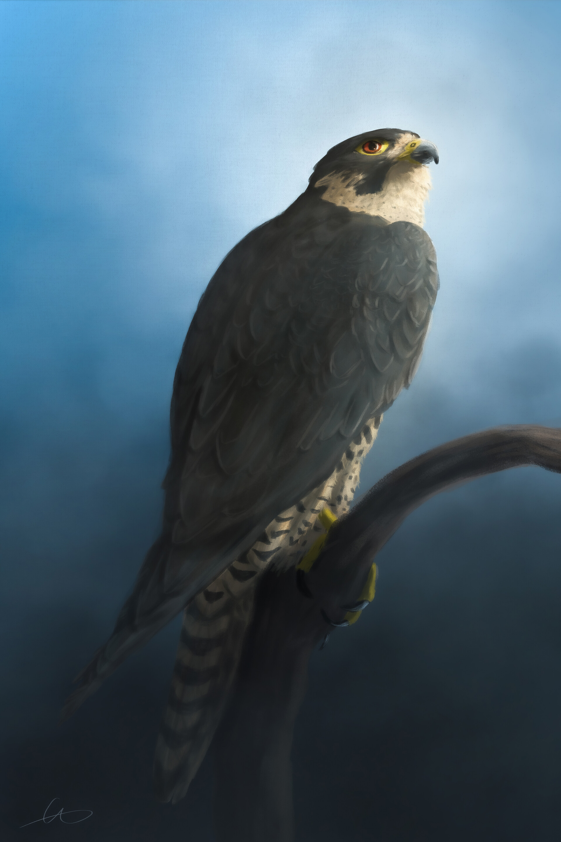 ArtStation - Peregrine Falcon